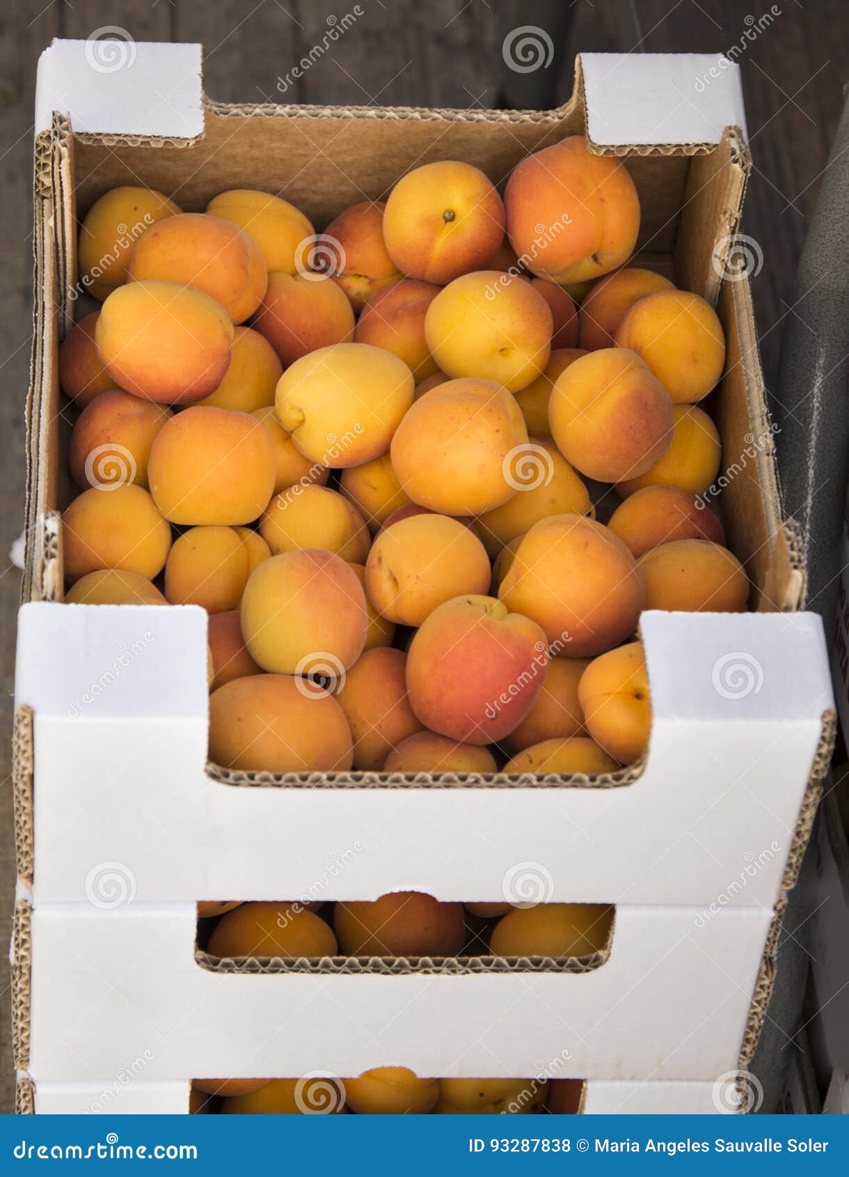 Apricots. stock photo. Image of healthy, boxes, fruit - 93287838