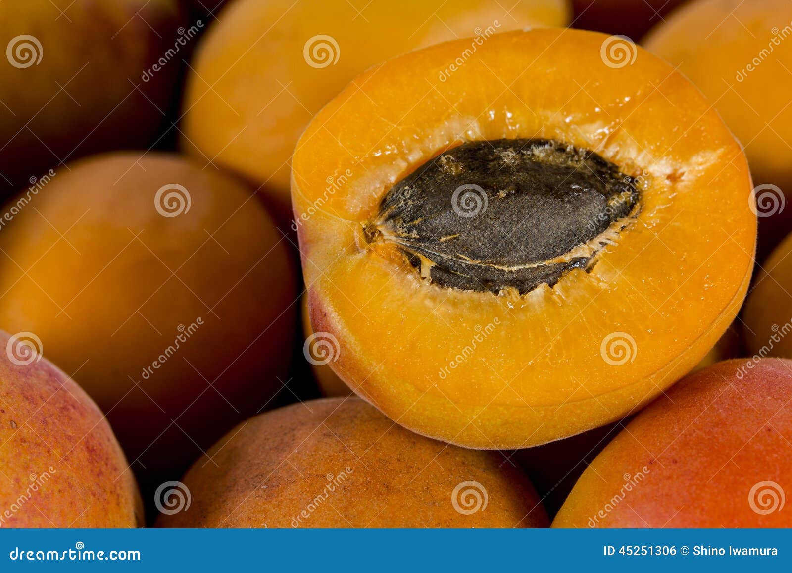 Apricots close-up stock photo. Image of clean, freshness - 45251306