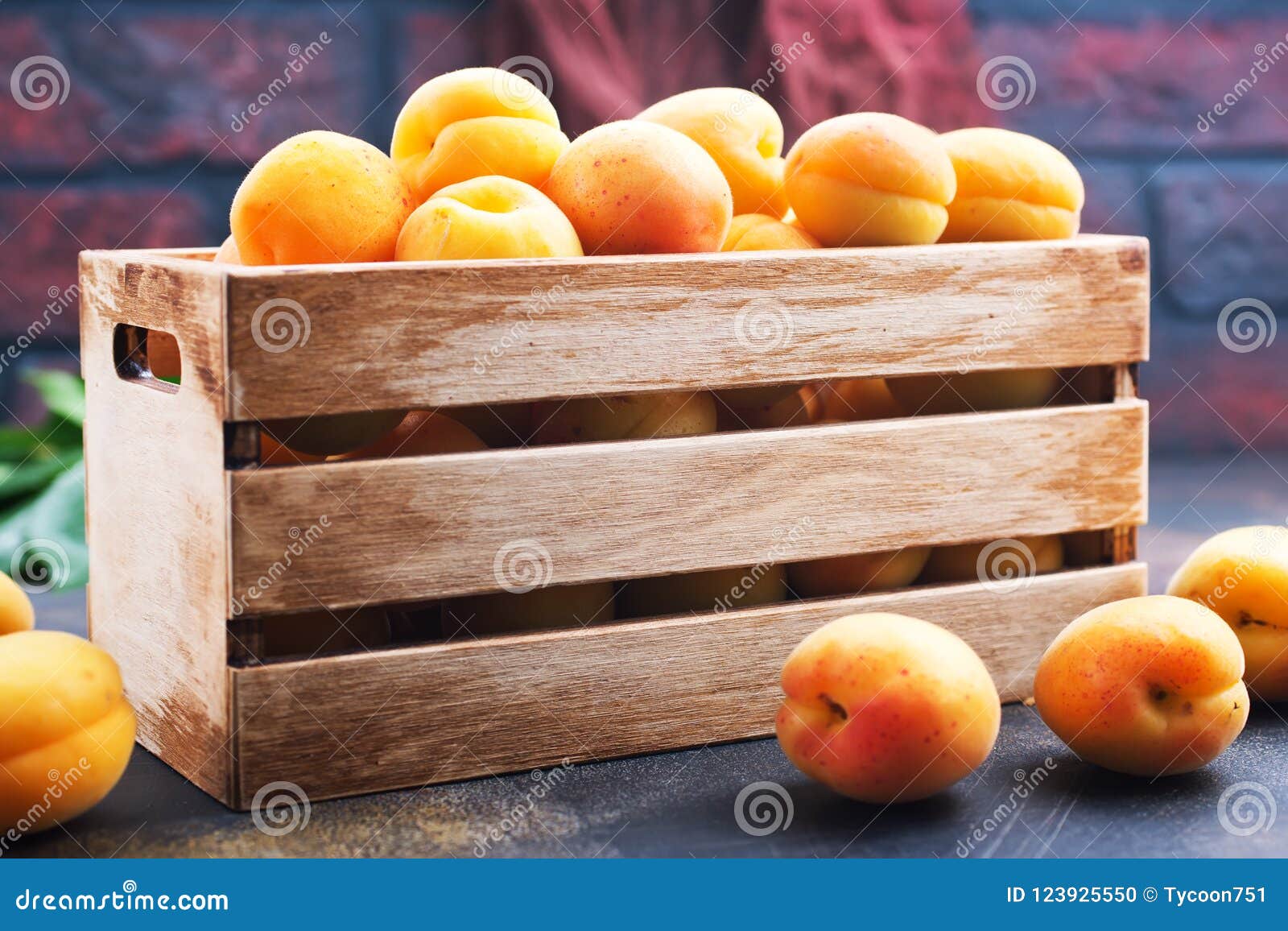 Apricots stock photo. Image of isolated, fresh, agriculture - 123925550