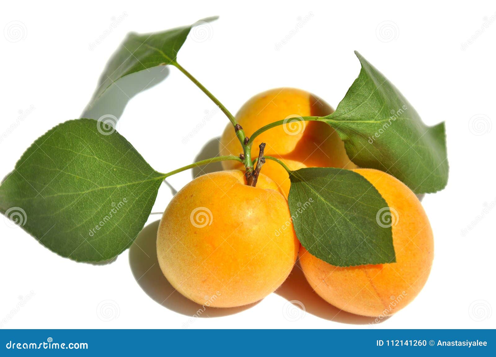 Apricots Isolated on White Background Stock Photo - Image of apricot ...
