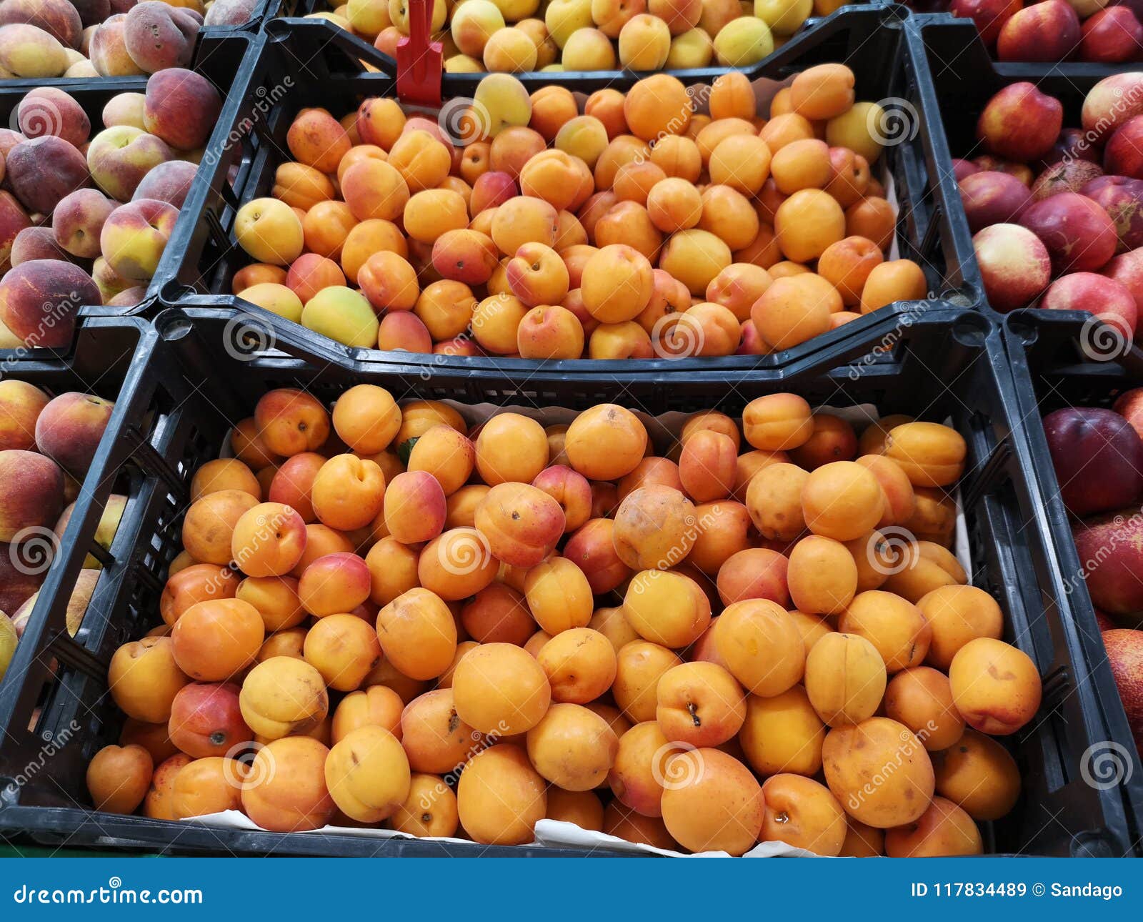 Apricots Lying in Boxes in Supermarket Stock Image - Image of container ...
