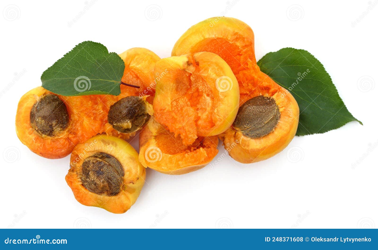 Apricots and Pits with Leaves Stock Photo - Image of seed, product ...