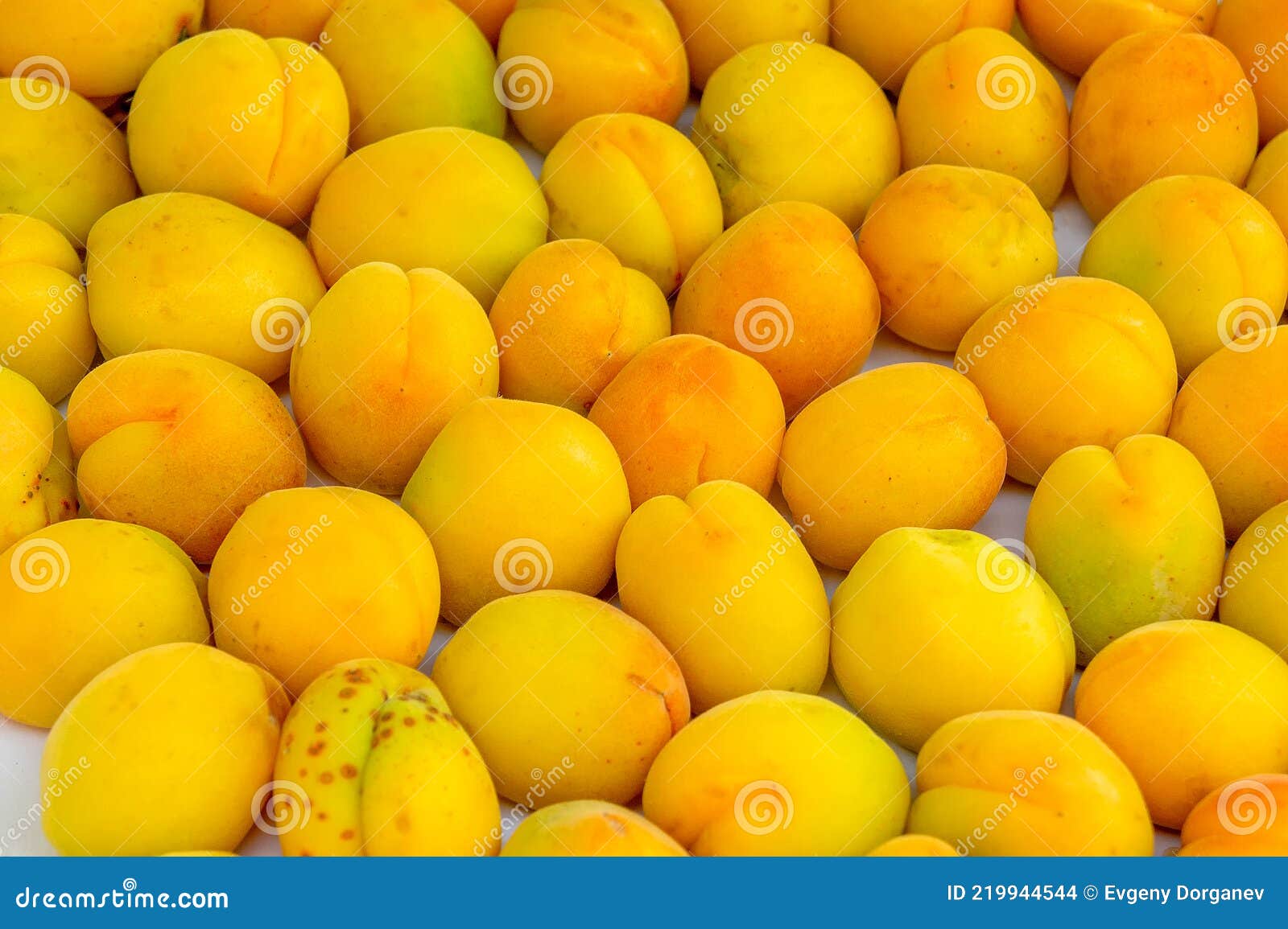 Apricots Scattering on a Light Surface Close-up Stock Photo - Image of ...