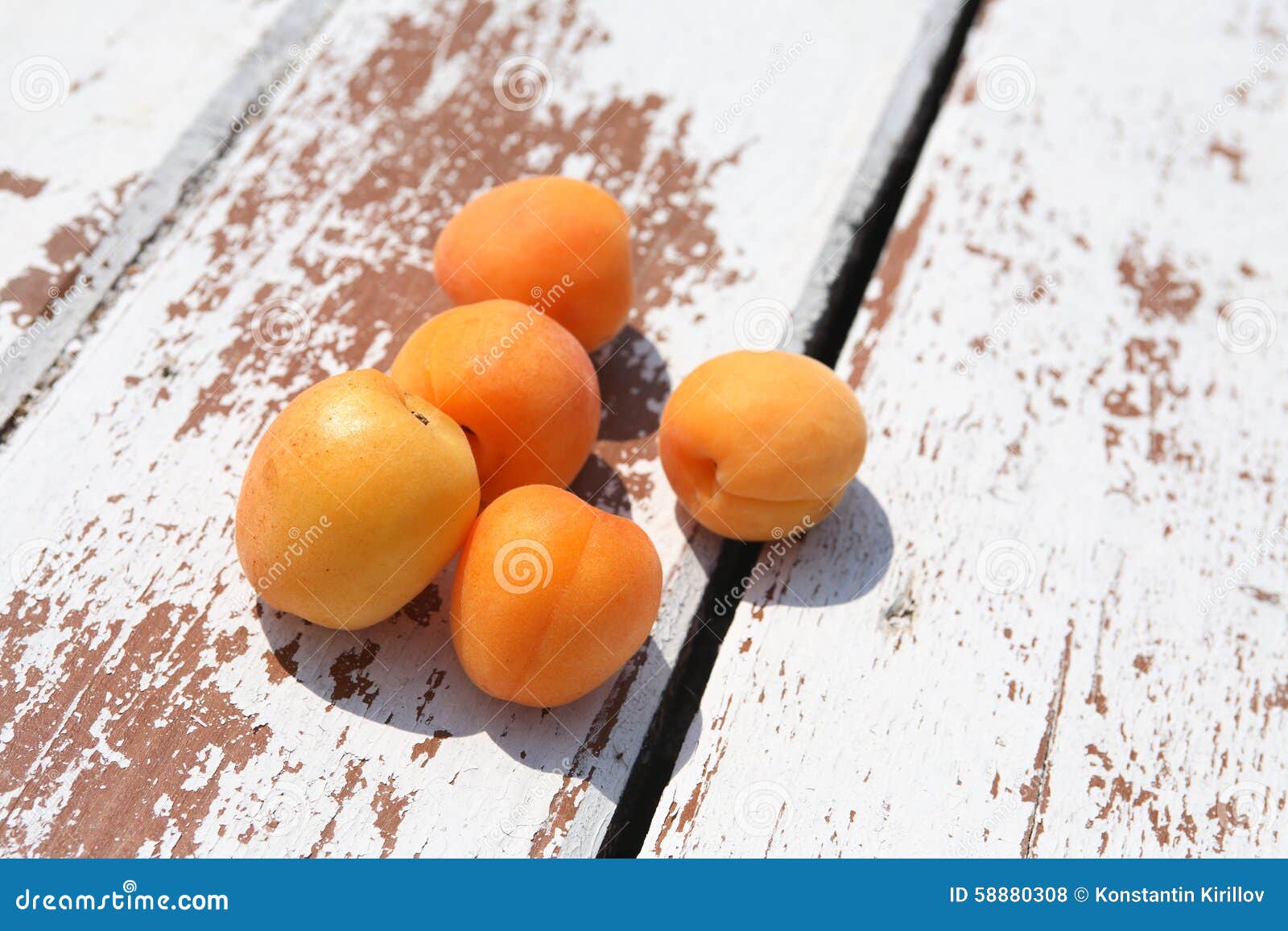Apricots Under Sun stock photo. Image of board, macro - 58880308