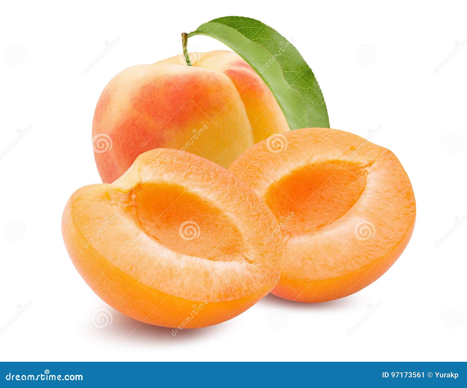 Apricots on a White Background Stock Image - Image of food, leaf: 97173561