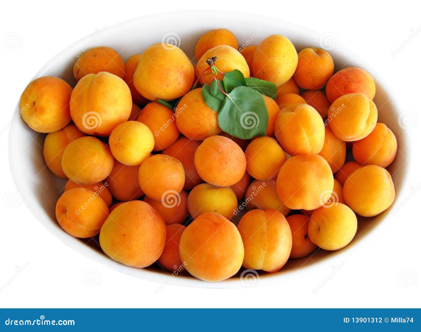 Apricots on white tray. stock photo. Image of plant, apricot - 13901312