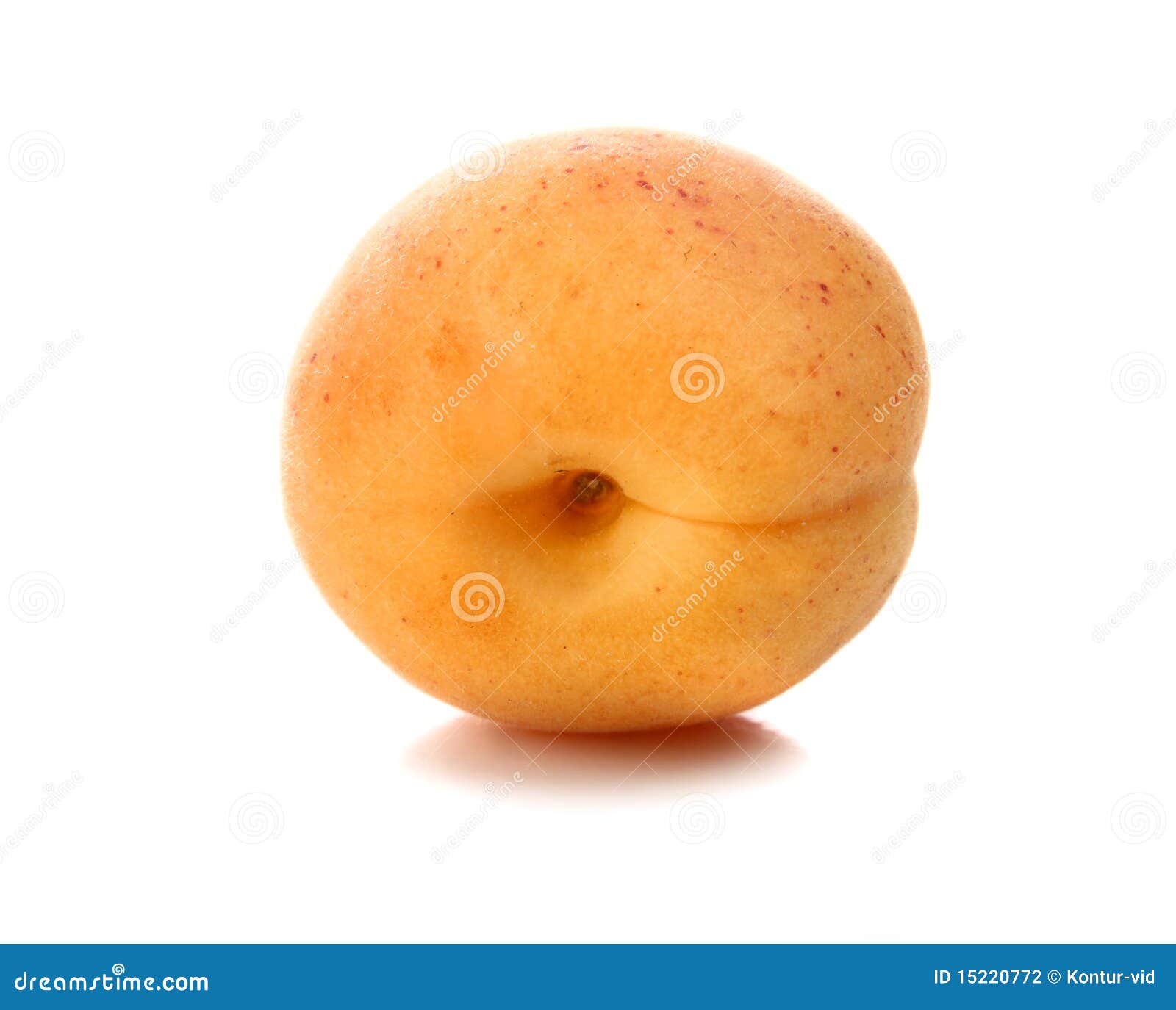 Aprikos arkivfoto. Bild av moget, natur, löv, äta, bakgrund - 15220772