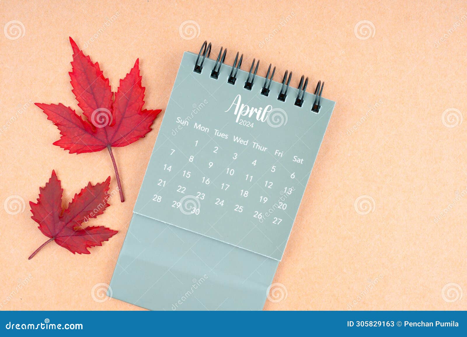 April 2024 Monthly Calendar and Fall Leaves Stock Image - Image of ...