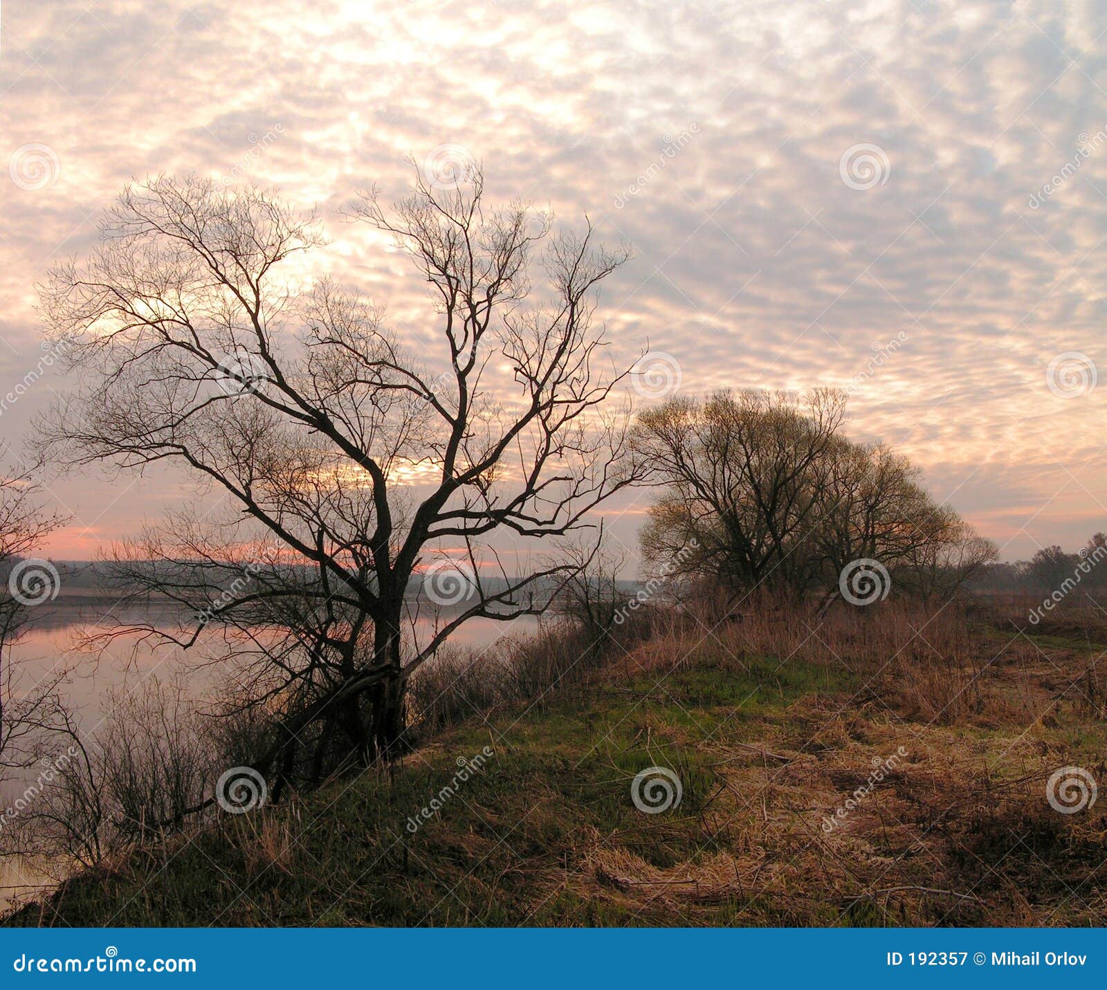 April morning. stock image. Image of nature, river, dawn - 192357