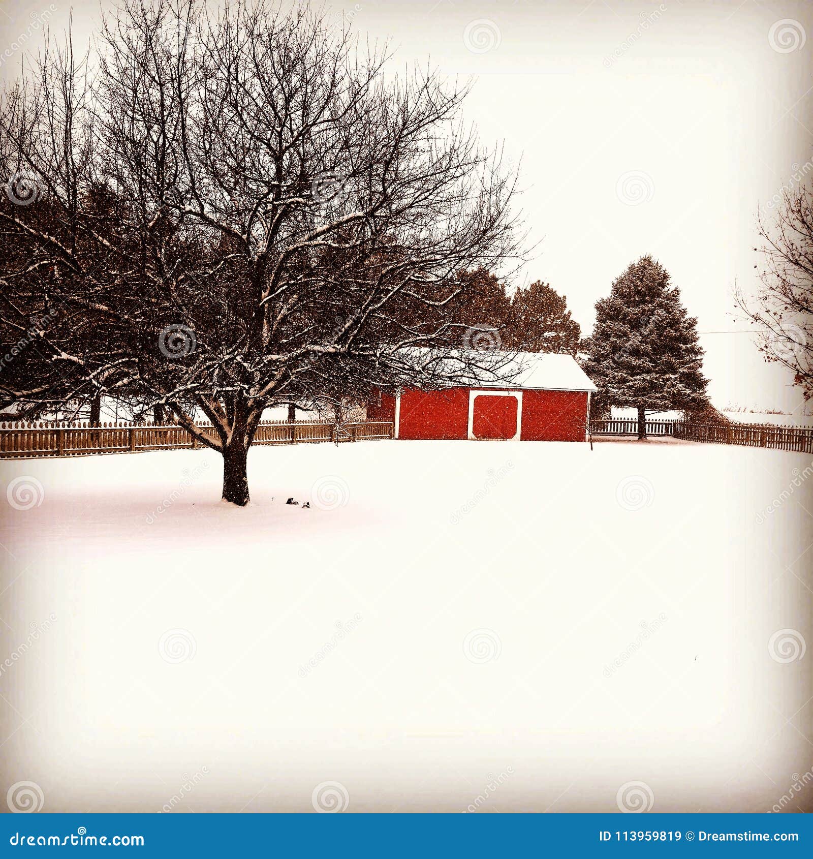 April snow stock image. Image of covered, april, ground - 113959819