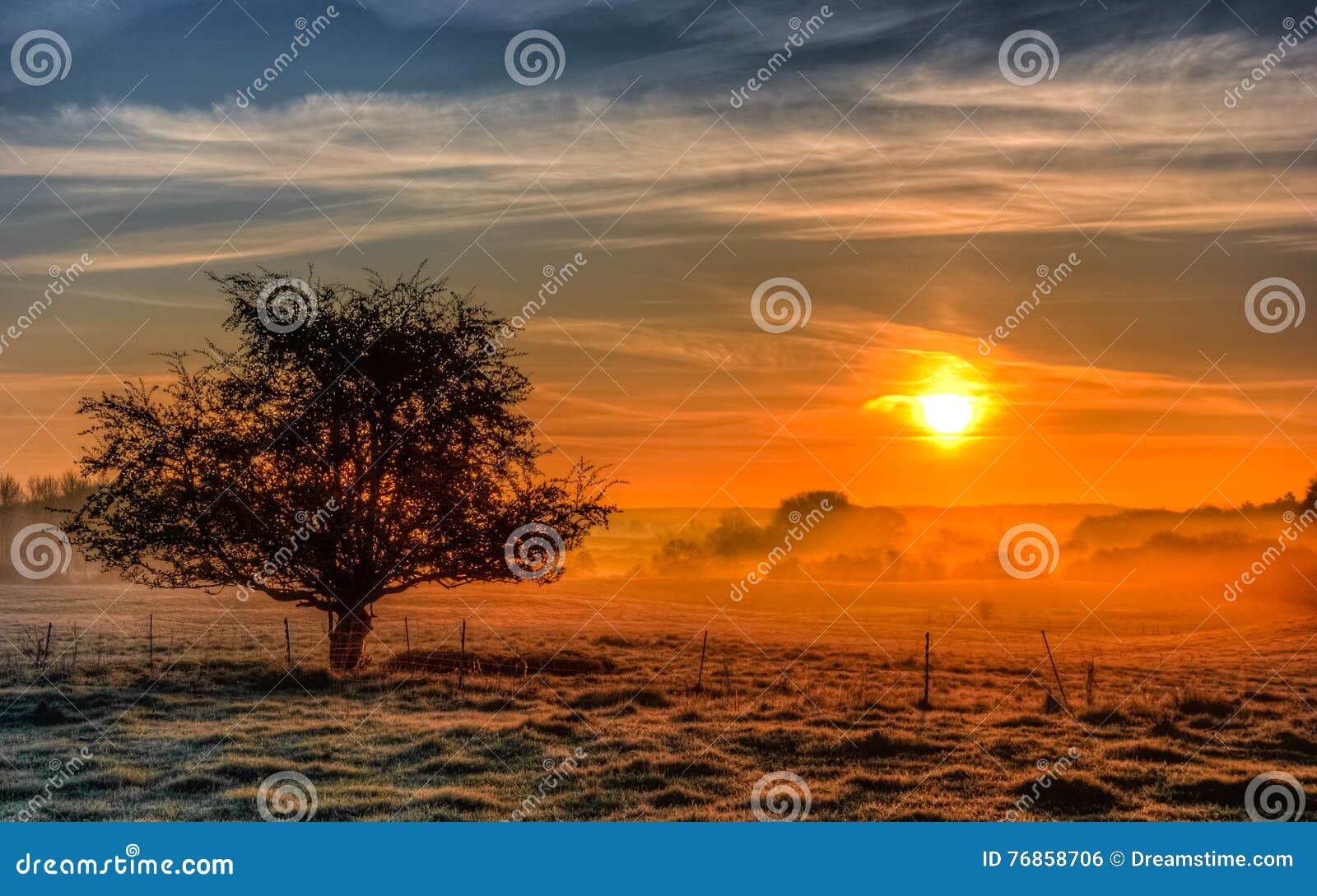 April Sunrise foto de archivo. Imagen de travieso, atractivo - 76858706