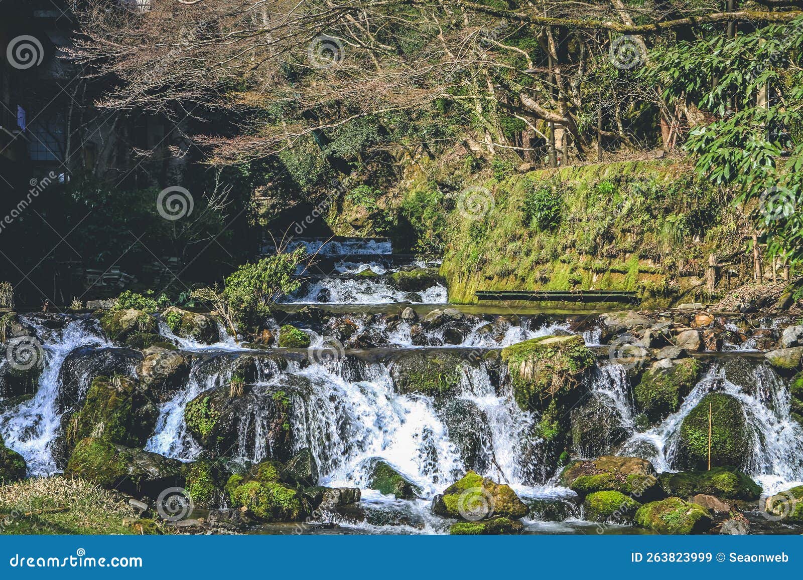 The Water Flowing, Scenery of Kibune River 12 April 2012 Stock Image ...