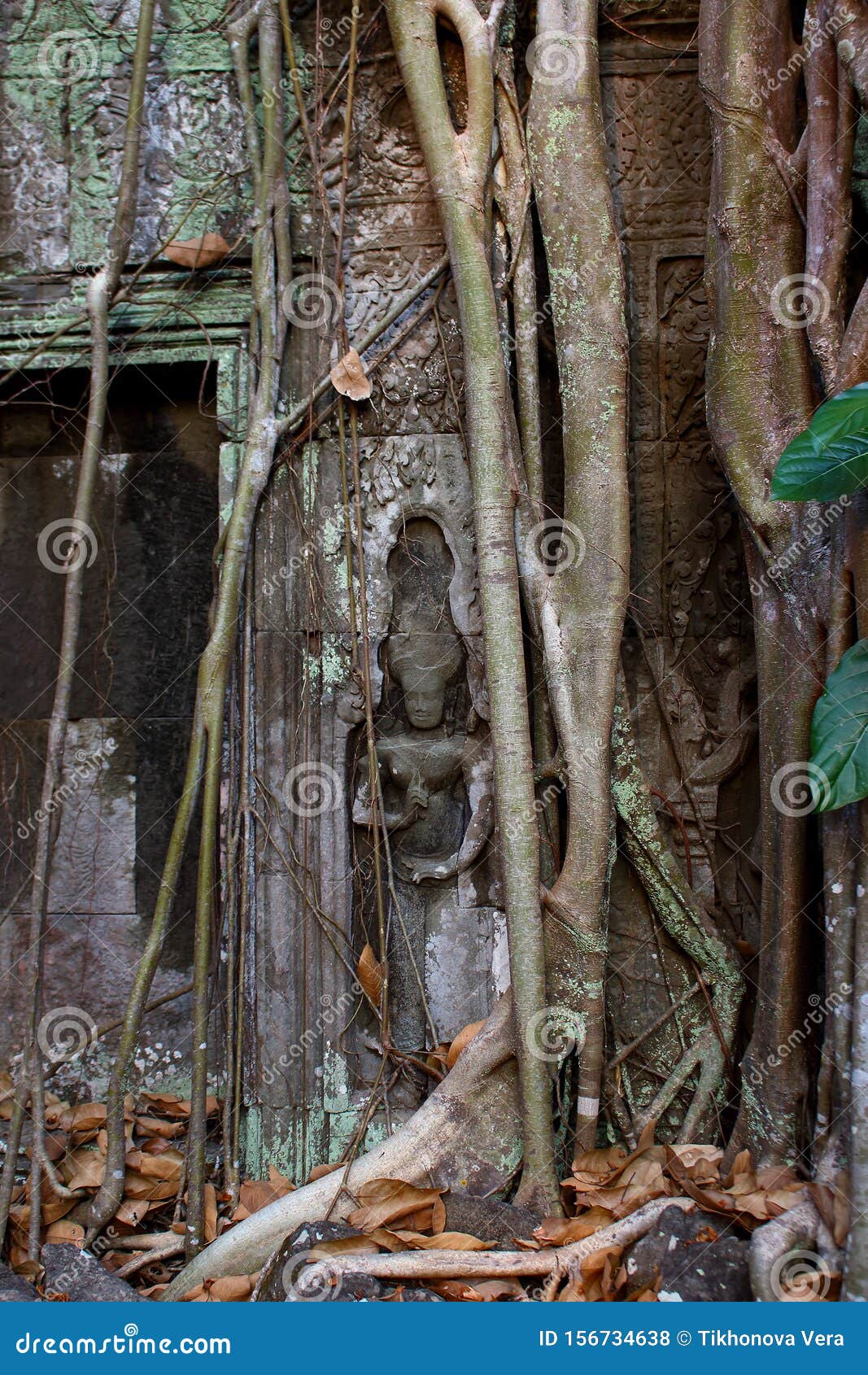 Apsara Deva Bas-relief on Wall Tomb Raider Temple Stock Photo - Image ...