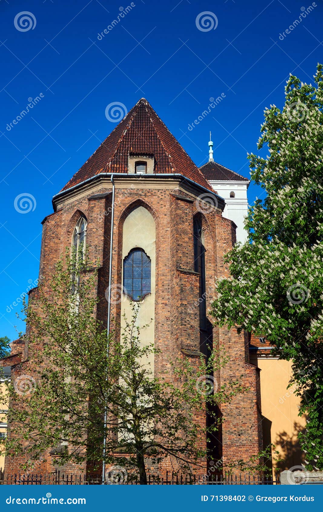 Apse Gothic Catholic Church Stock Photo - Image of spring, plant: 71398402