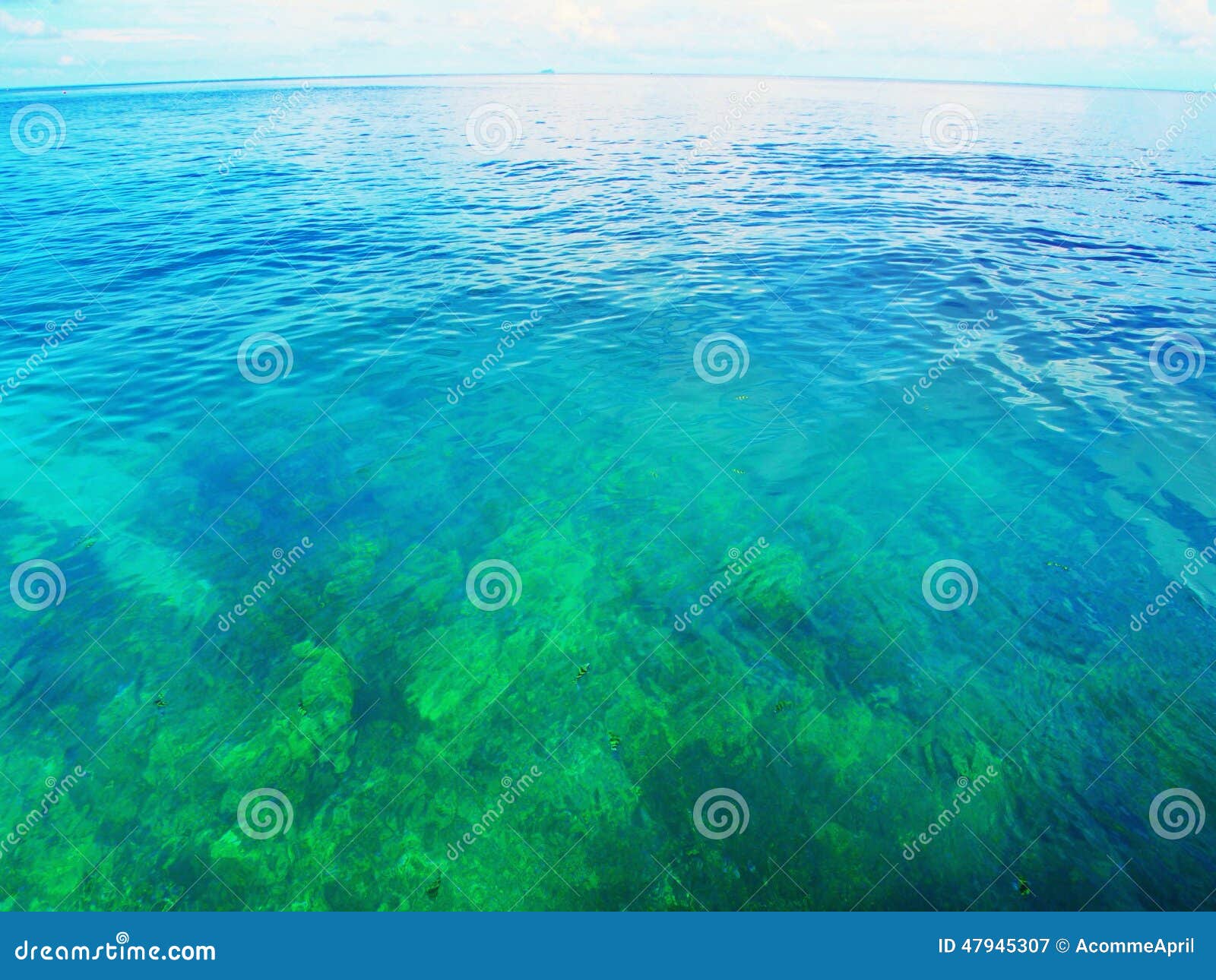 Aqua blue sea stock image. Image of fresh, aqua, islands - 47945307