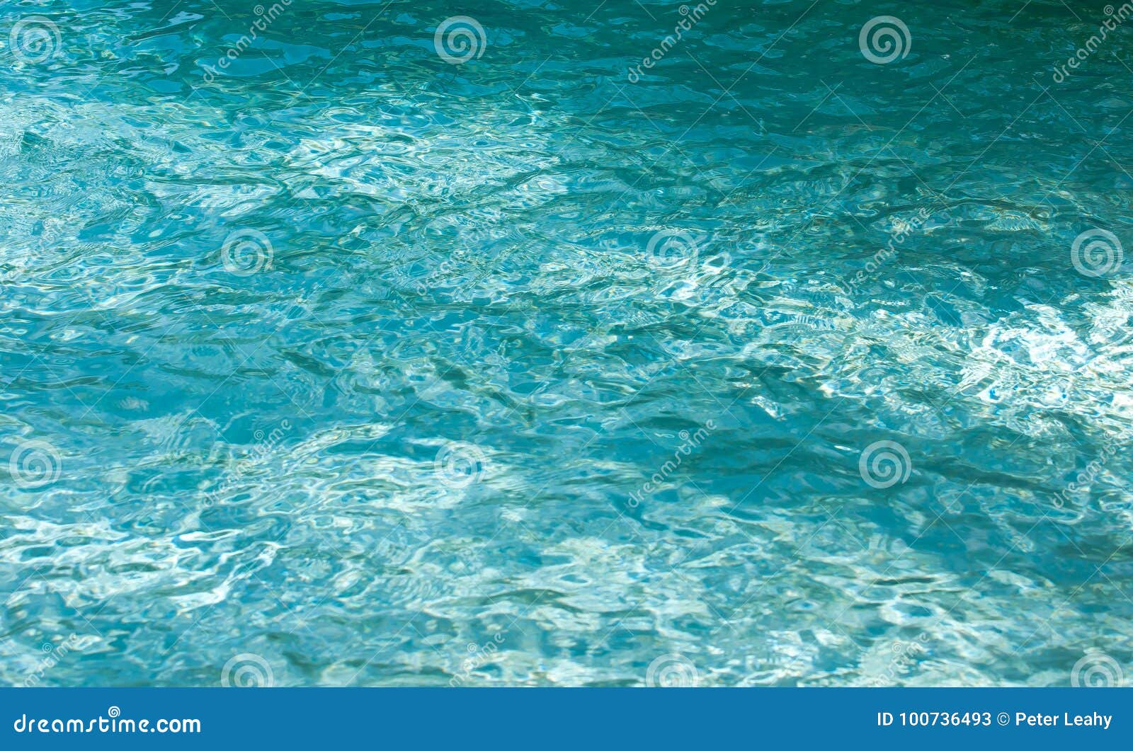 Aqua Blue Water of a Pool in South Florida. Stock Image - Image of aqua ...