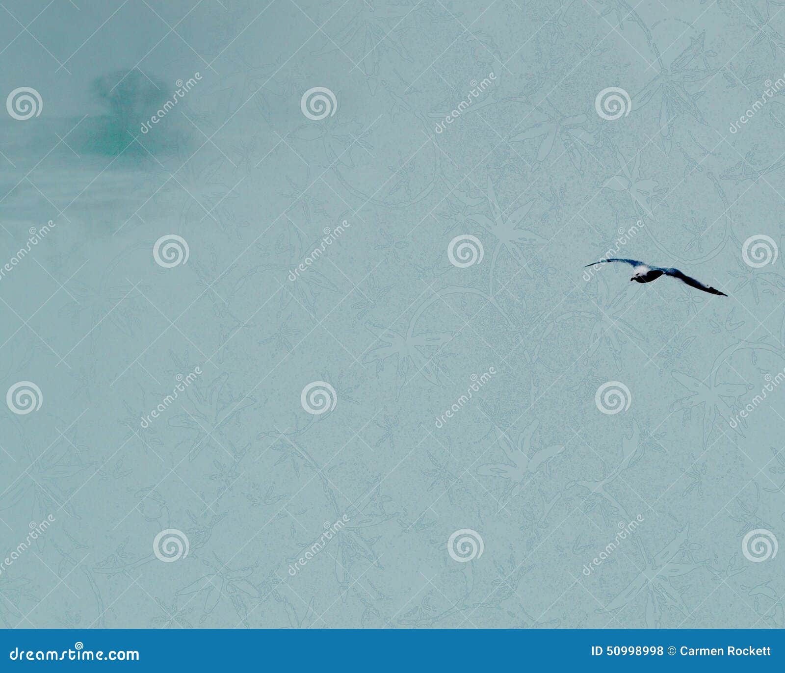 Aqua Seagull Textured Background Stock Photo - Image of tree, glide ...