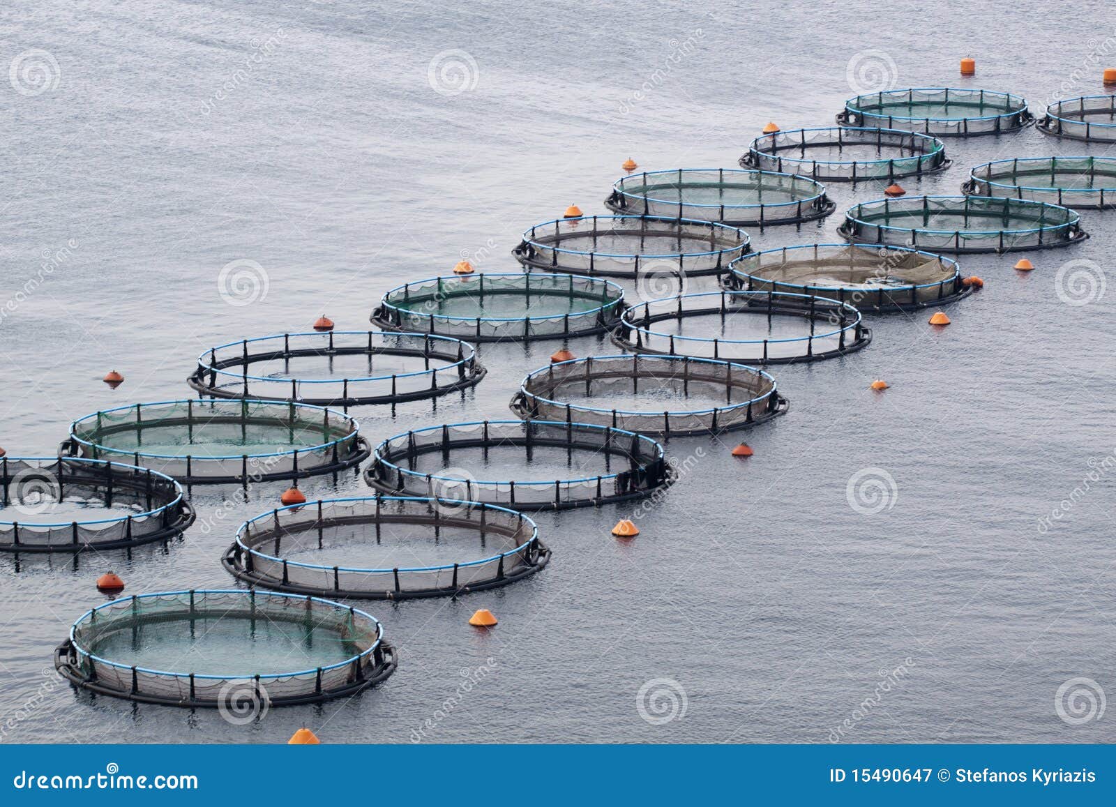 Fish Pens, Peloponesse, Greece Stock Image - Image of greek ...