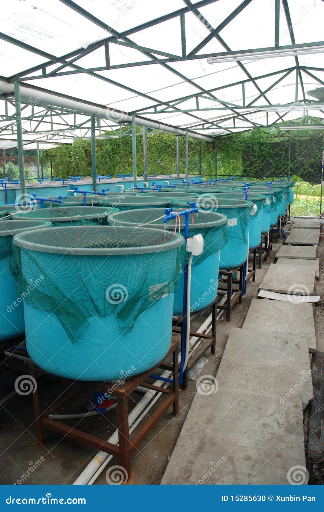 Aquaculture farm stock photo. Image of farm, fishing - 15285630