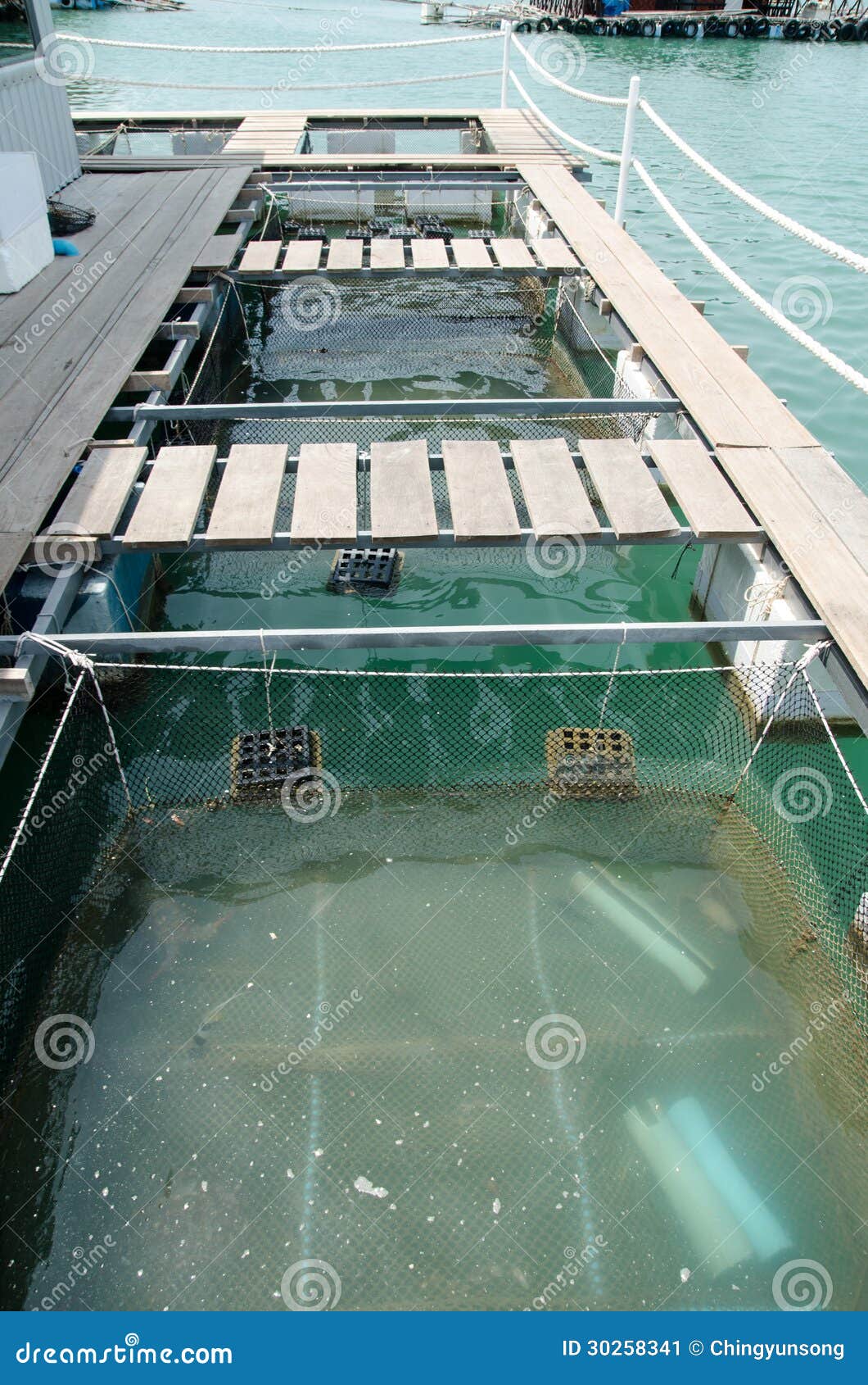 Aquaculture Fish Ponds in Medium of Water Stock Image - Image of ...