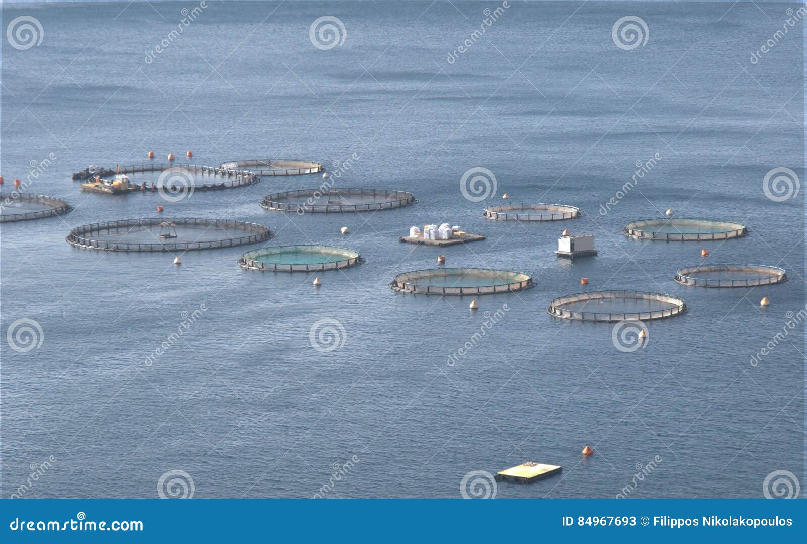 Aquaculture at Greece stock image. Image of commercial - 84967693