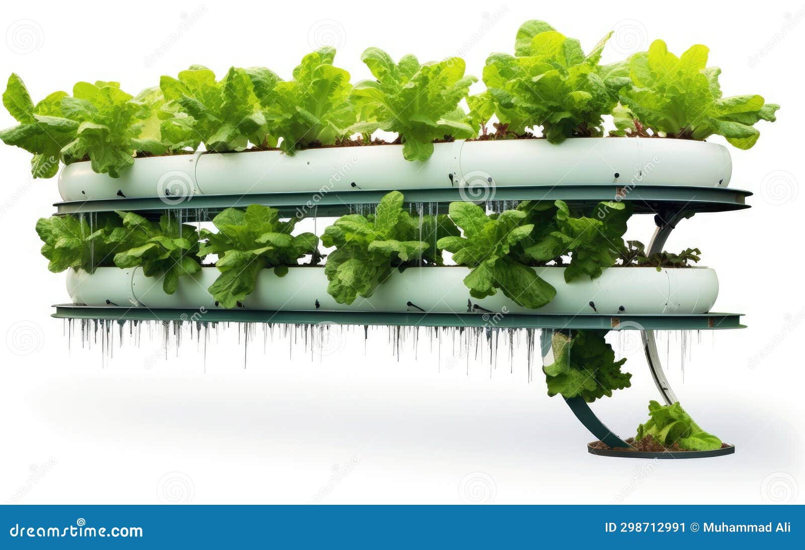 Aquaponic Hydroponic System on White Background Stock Image - Image of ...