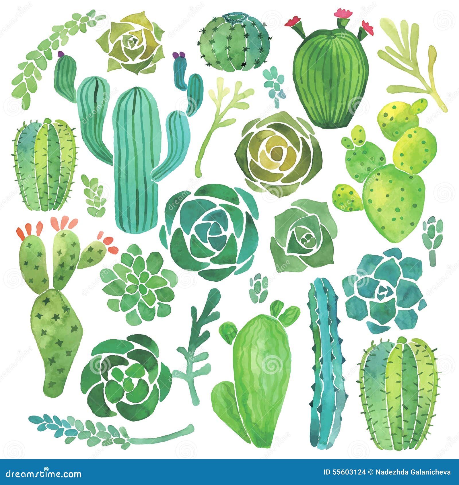 Aquarell Kaktus- Und Succulentsatz Vektor Abbildung - Illustration von ...
