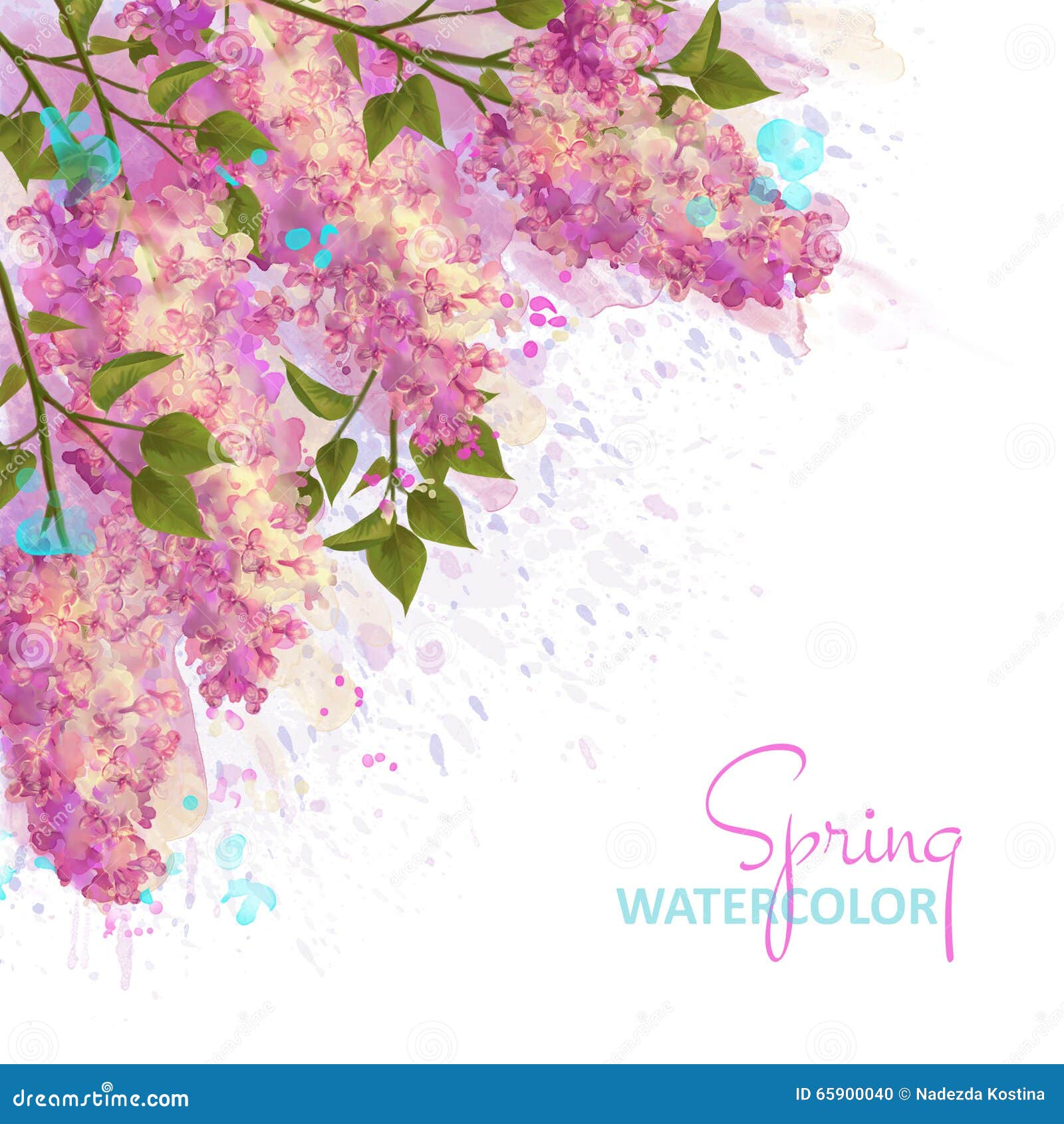 Aquarell-Zeichnung Der Flieder Stock Abbildung - Illustration von ...