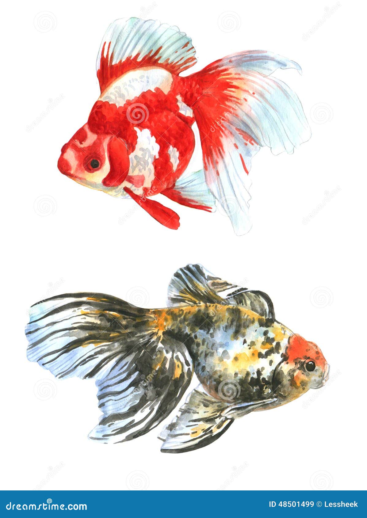 Aquarelle De Deux Poissons Rouges Image stock - Image du beau, jaune ...