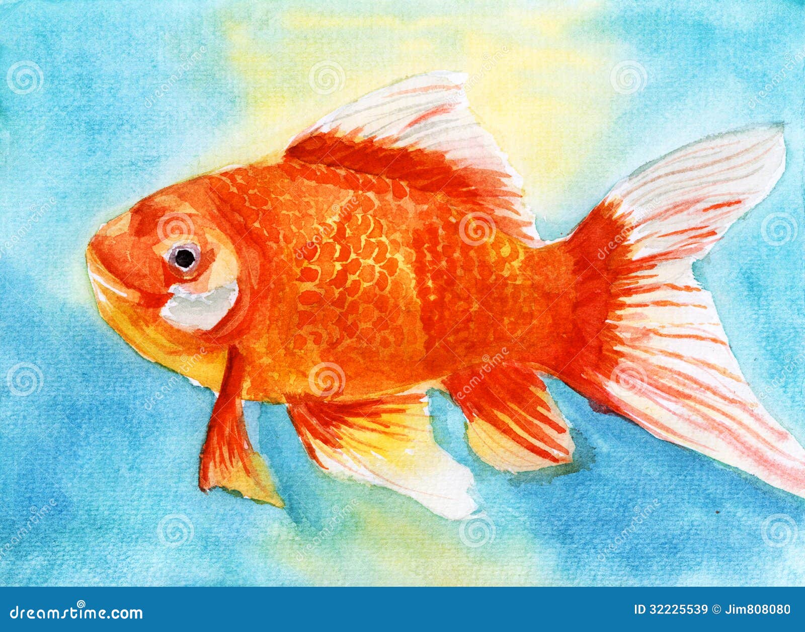 Aquarelle De Poisson Rouge De Bain Illustration Stock - Illustration du ...