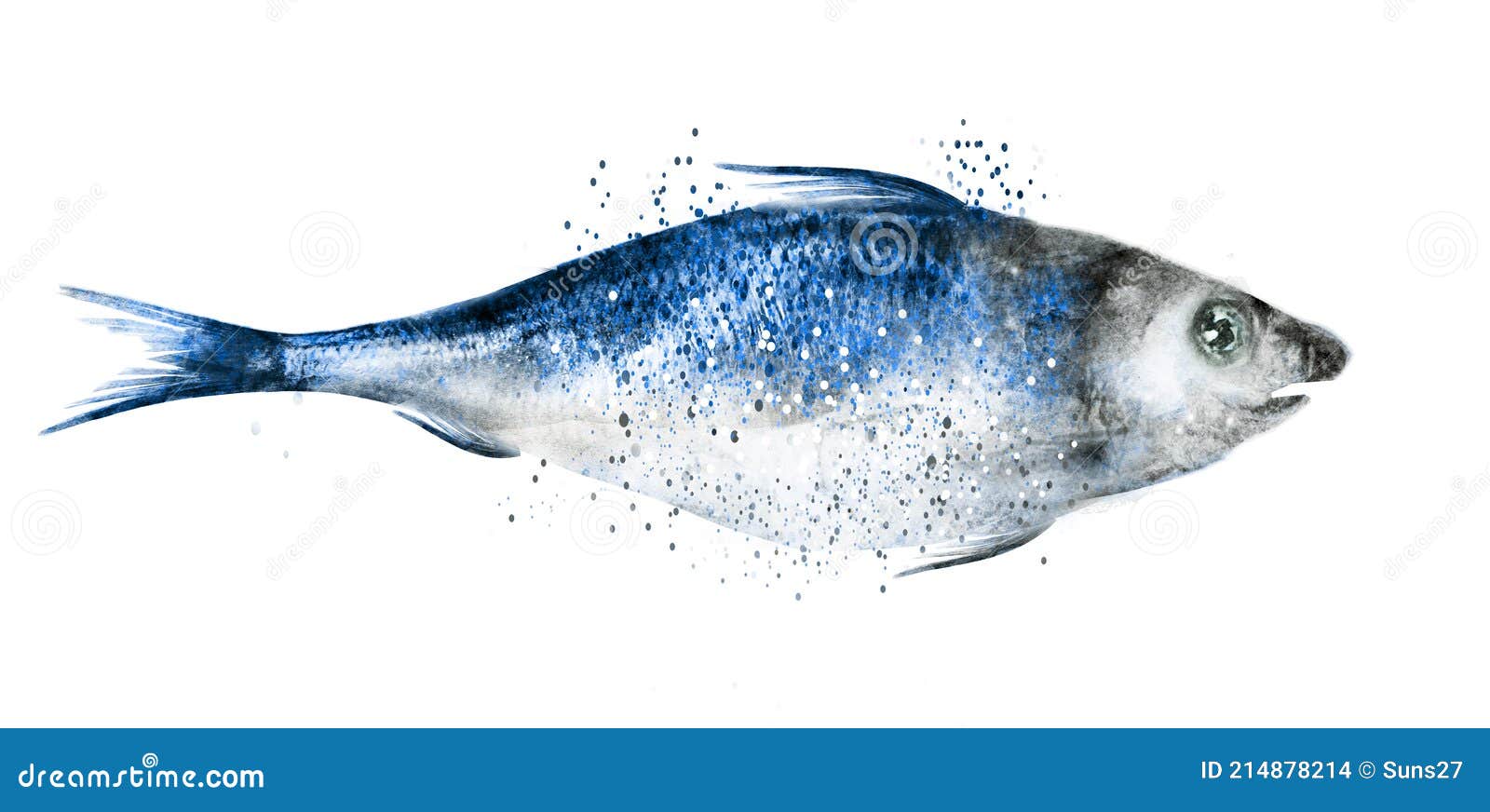 Aquarelle Poisson Sur Blanc Illustration Stock - Illustration du ...