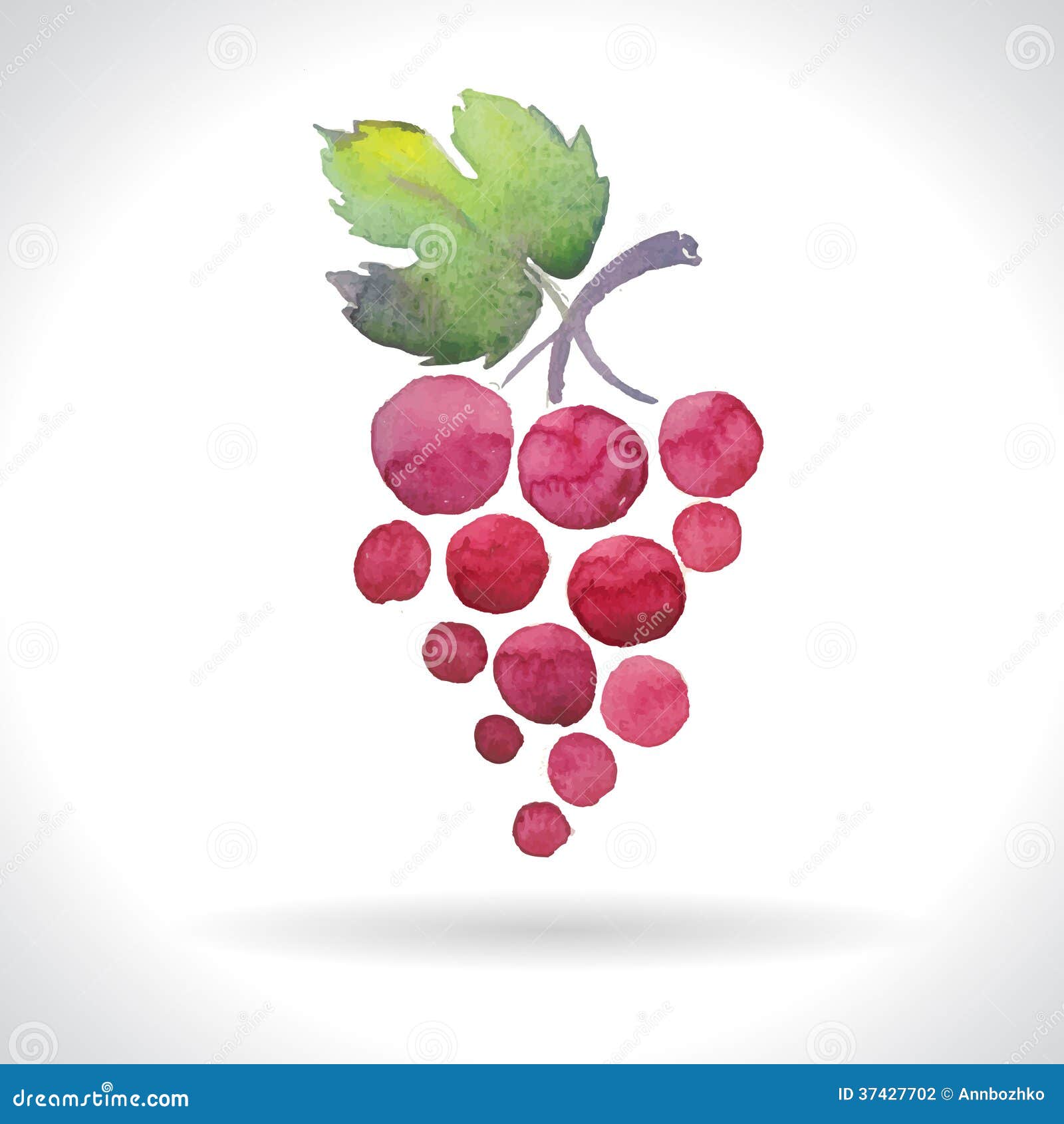 Aquarellillustrationen Von Trauben Vektor Abbildung - Illustration von ...