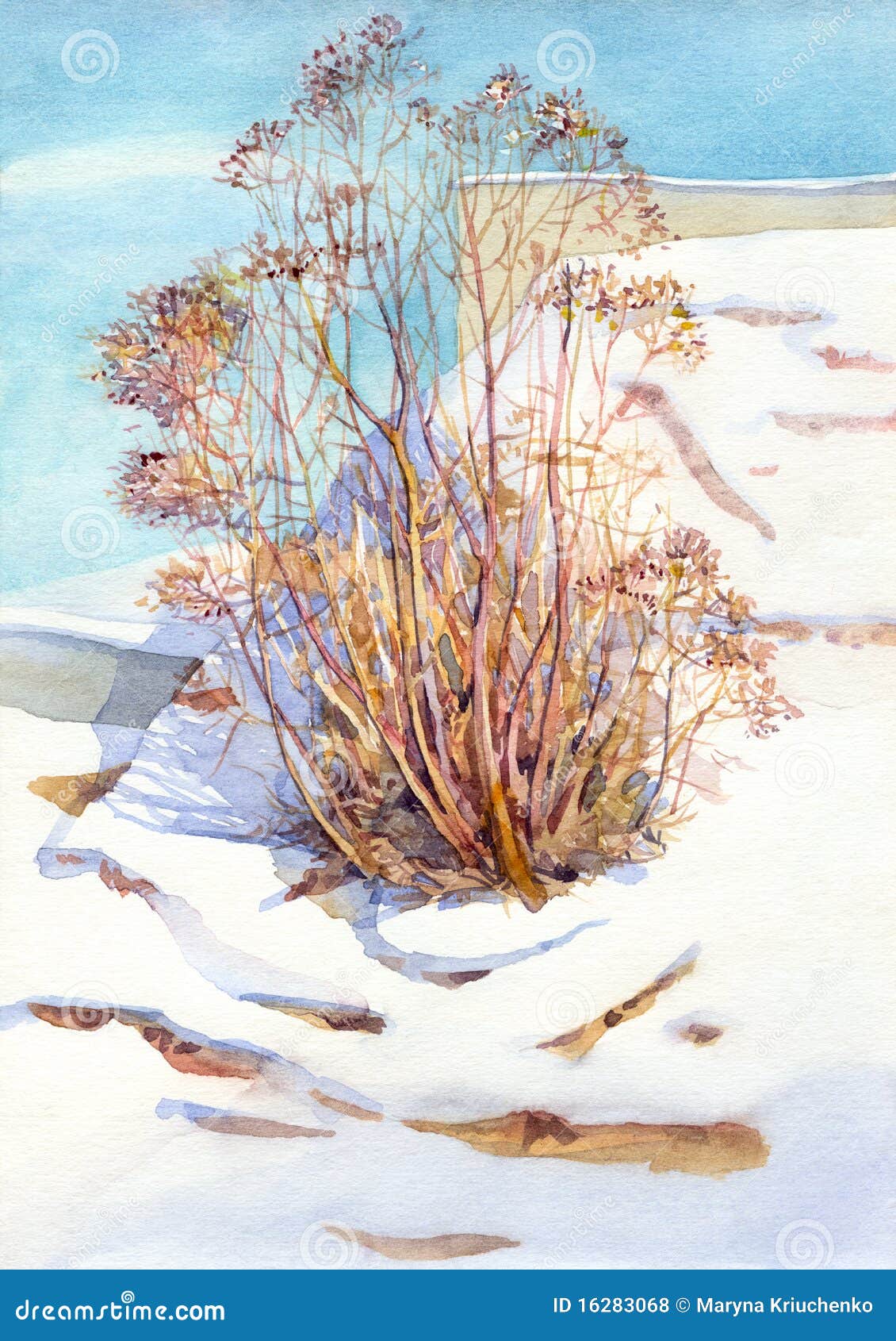 Aquarelllandschaft. Alter Busch in Einem Winter Stock Abbildung ...