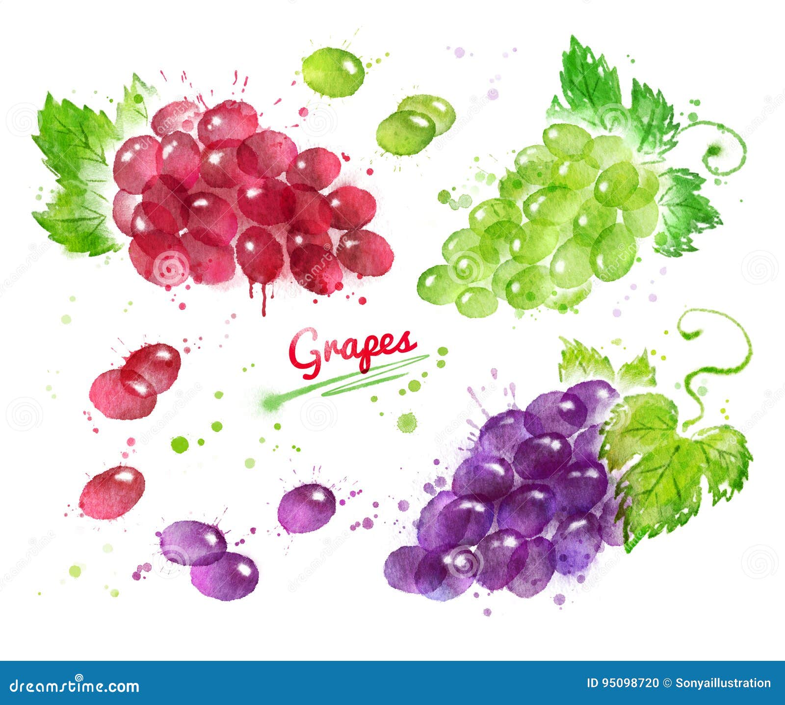 Weintrauben Stock Illustrationen, Vektors, & Klipart – (397 Stock ...