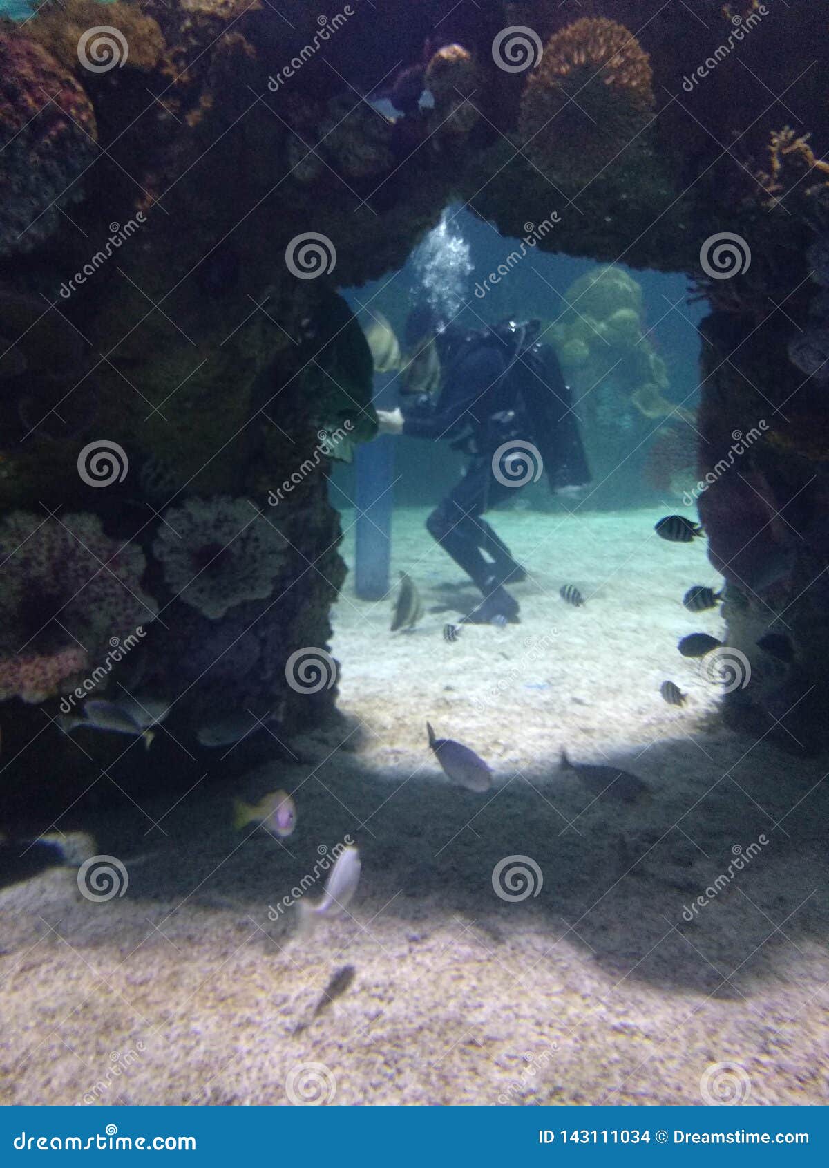 Chill Time. Royalty-Free Stock Image | CartoonDealer.com #42113812