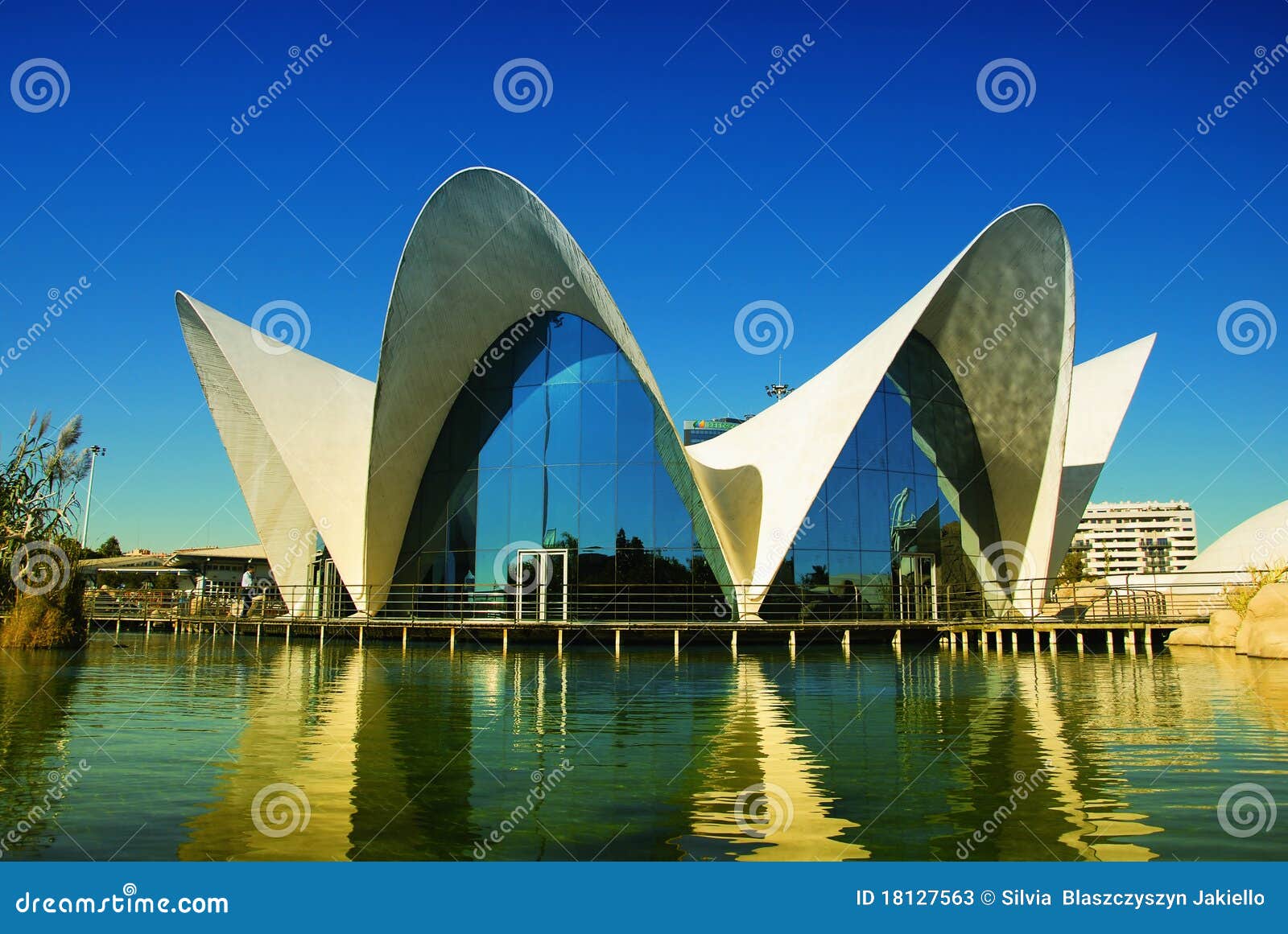 Aquarium D'Oceanografic, Valence. Photo stock éditorial - Image du ...