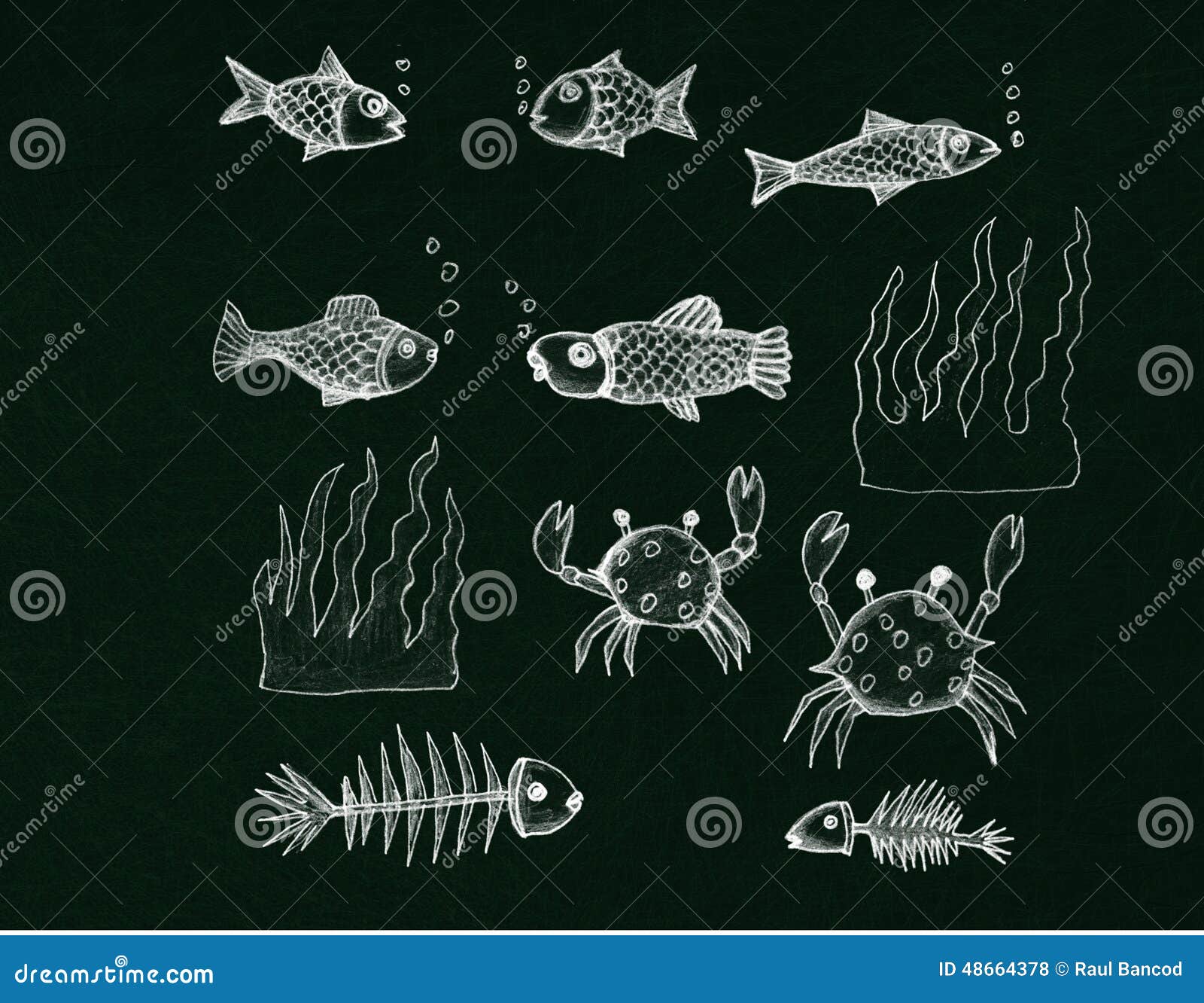 Fish Big Set On Blackboard. Cartoon Vector | CartoonDealer.com #139653333