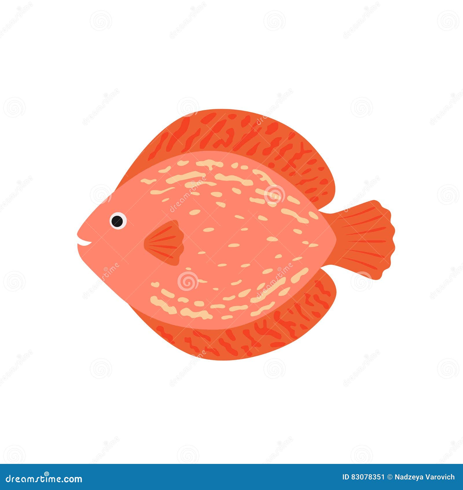 The Aquarium Fish Discus Pink Stock Illustration - Illustration of ...
