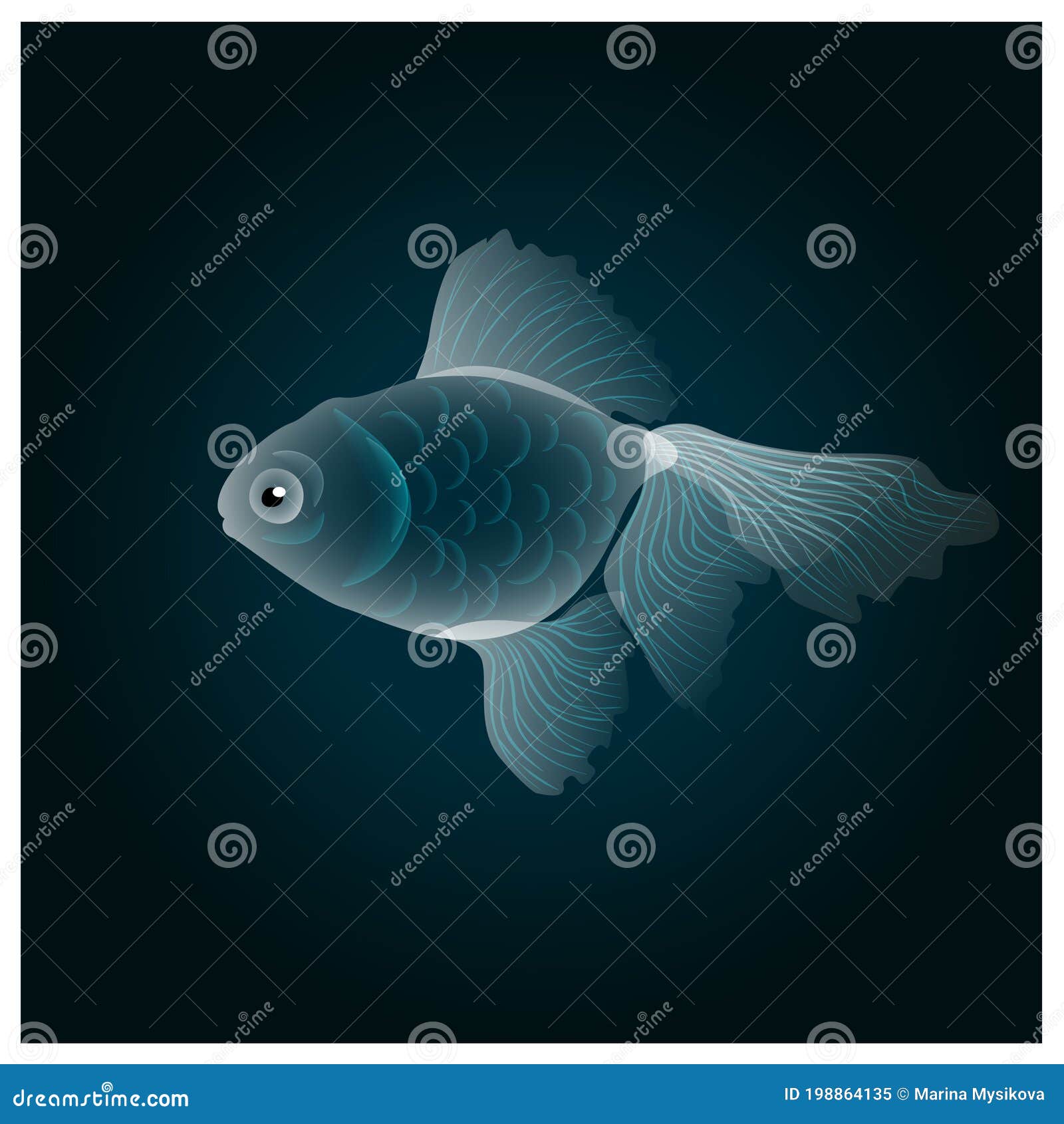 Aquarium Fish with a Large Tail. Stock Vector - Illustration of nature ...