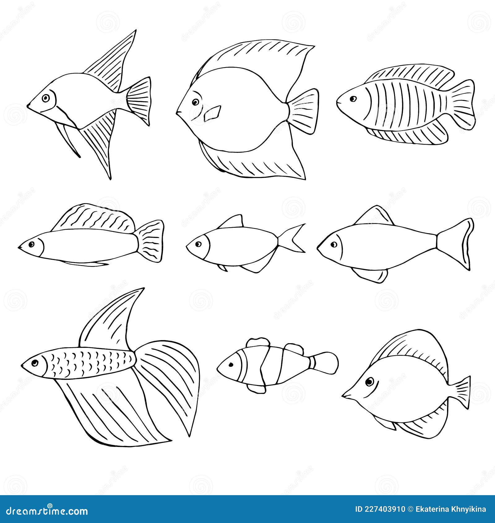 Aquarium Fish Set, Vector Illustration, Hand Drawn Doodles Stock Vector ...