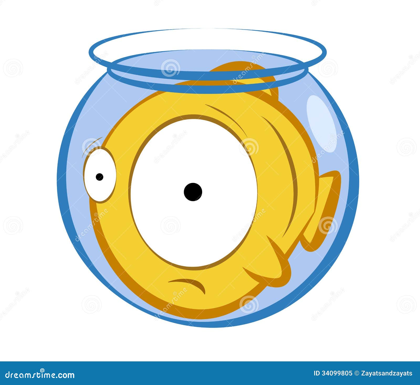 Aquarium fish stock vector. Illustration of looking, anxious - 34099805