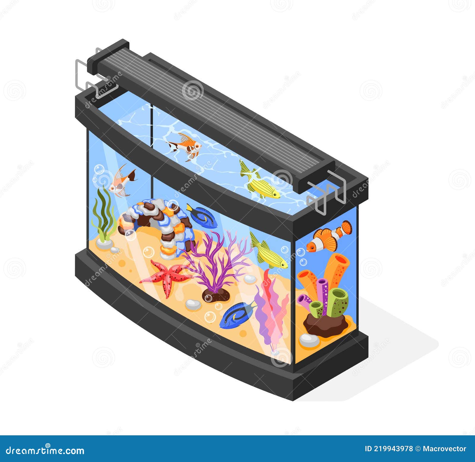 Aquarium Isometric Composition Stock Vector - Illustration of device ...
