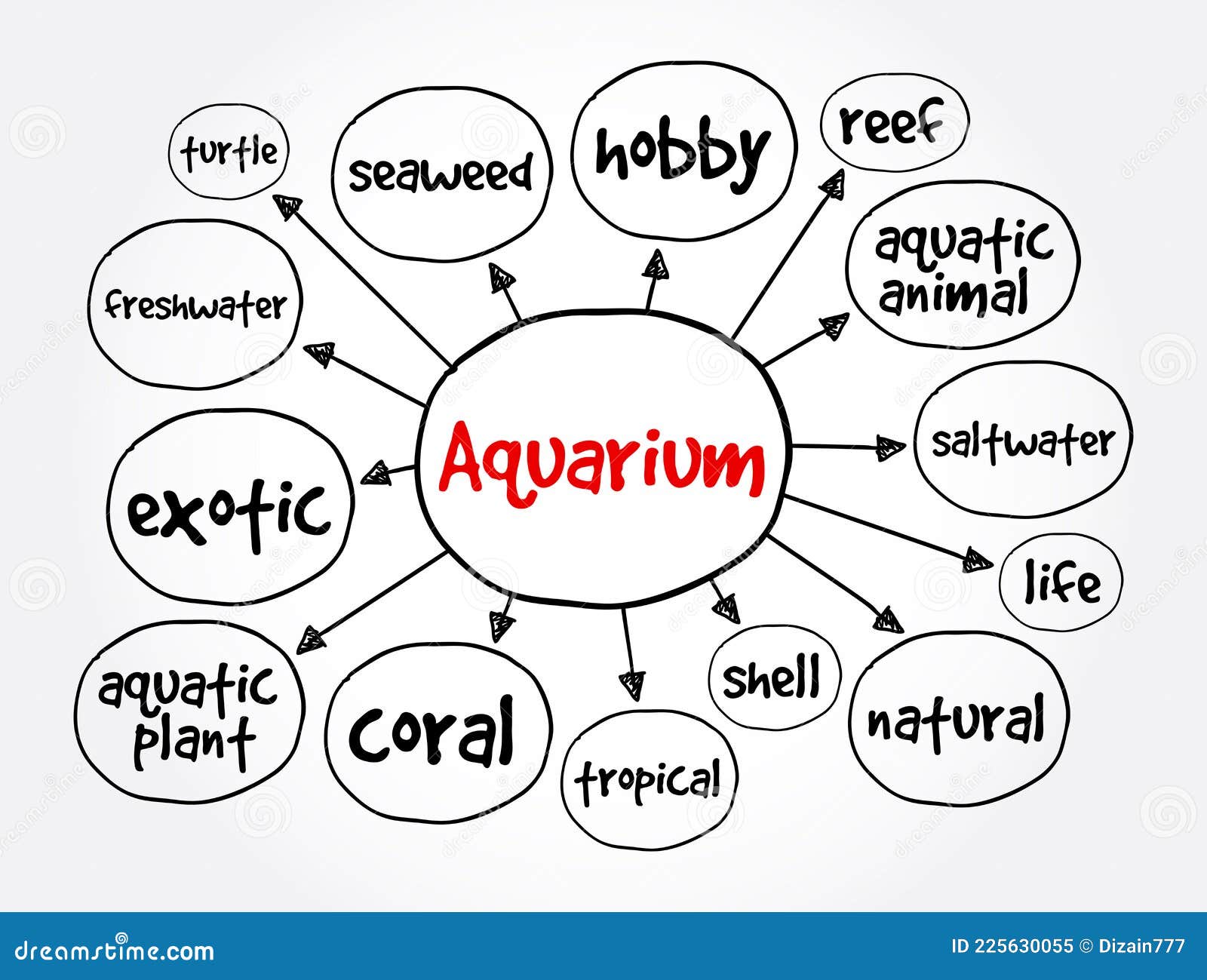 Aquarium Mind Map, Concept For Presentations And Reports Royalty-Free ...