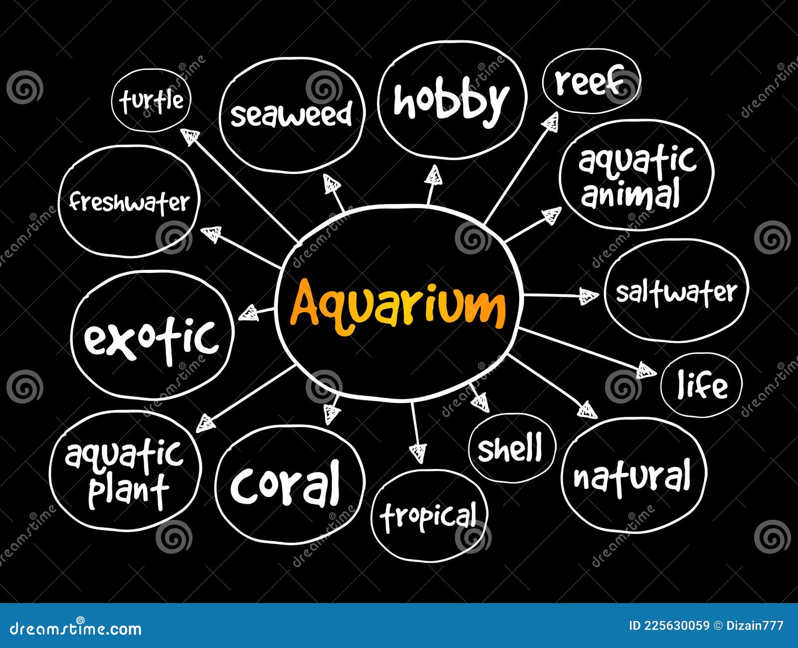 Aquarium Mind Map, Concept For Presentations And Reports Royalty-Free ...