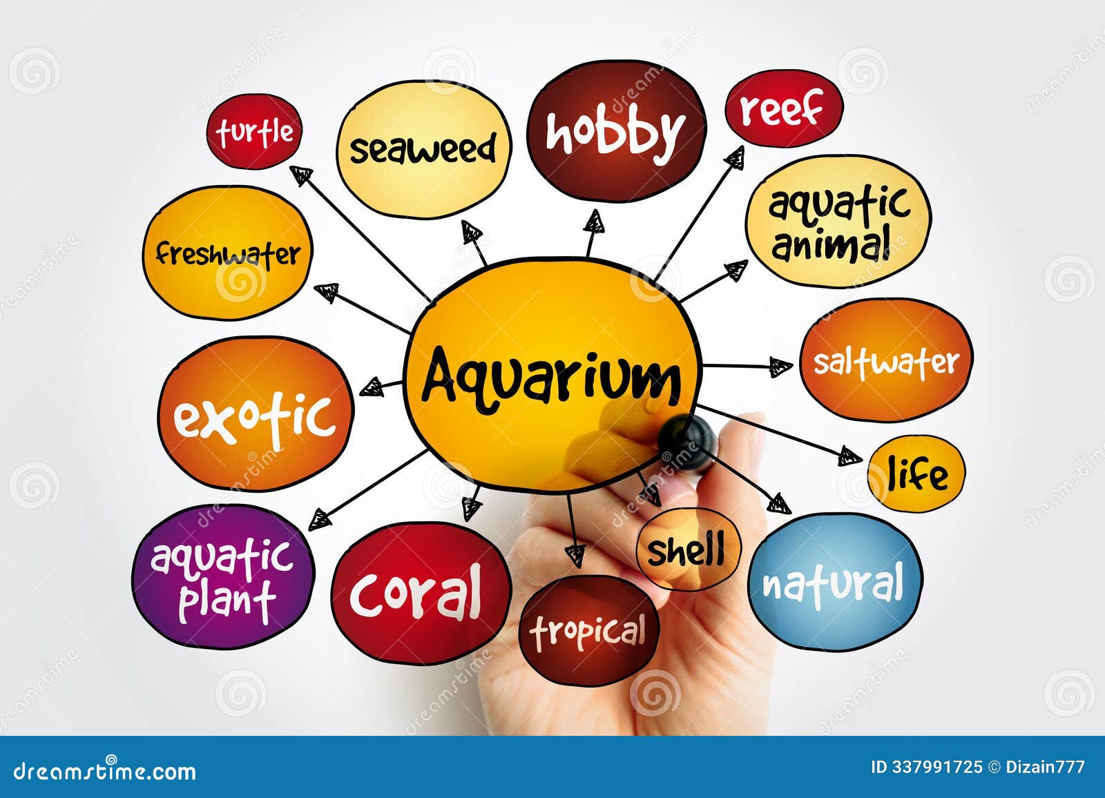 Aquarium Mind Map, Concept for Presentations and Reports Stock Image ...