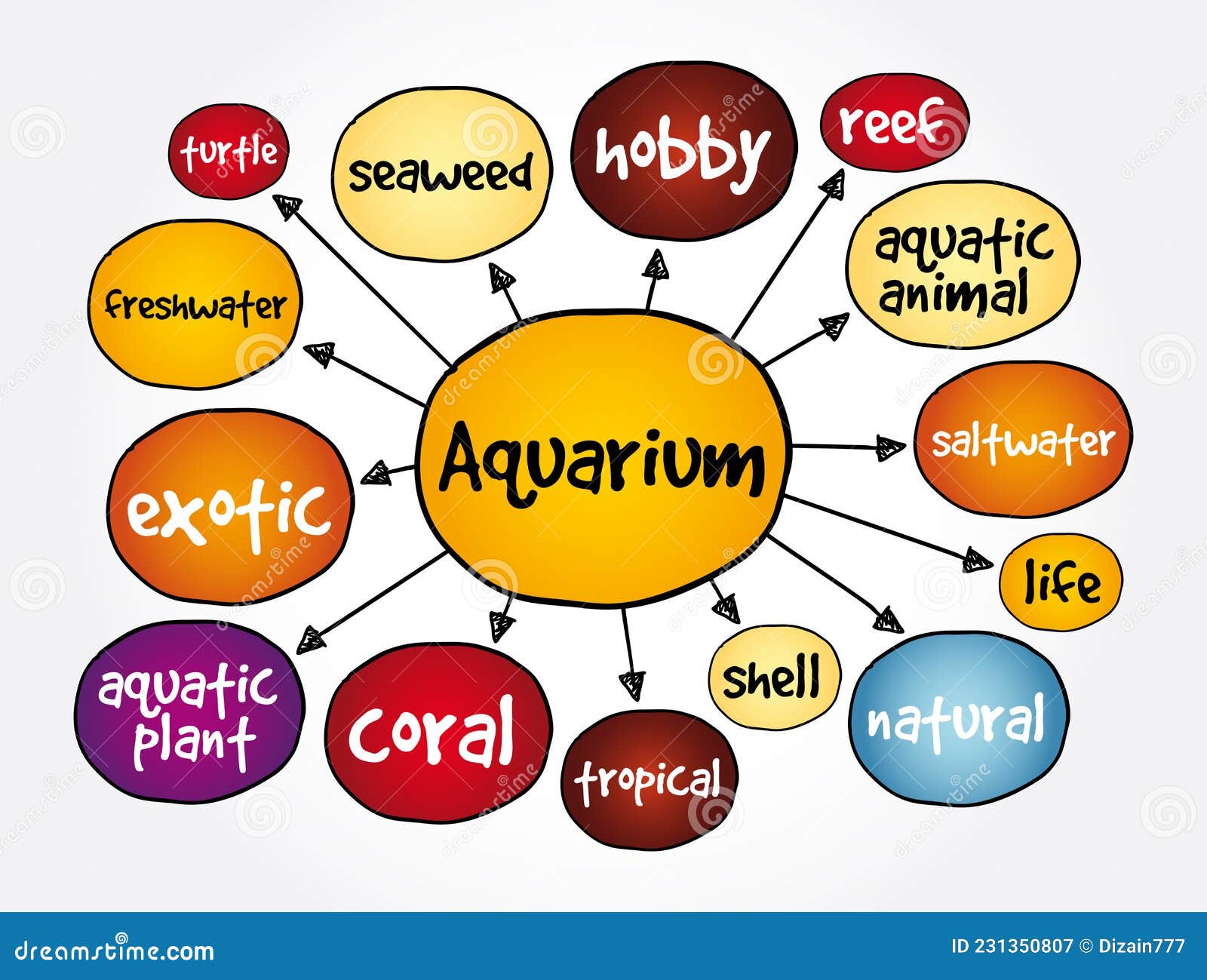Aquarium Mind Map, Concept For Presentations And Reports Royalty-Free ...
