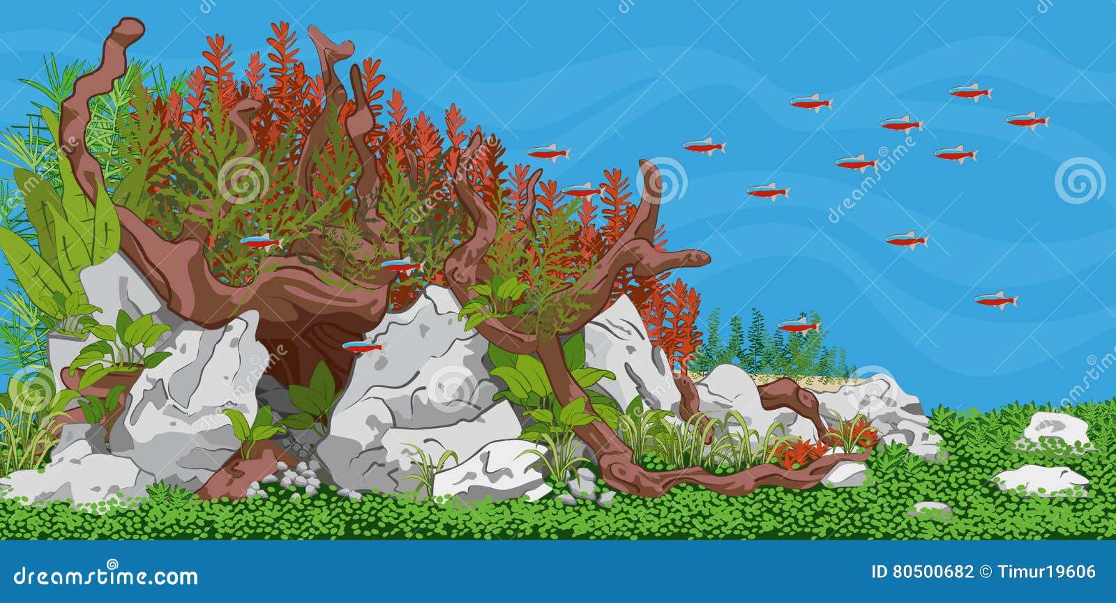 Aquarium stock vector. Illustration of interior, tank - 80500682