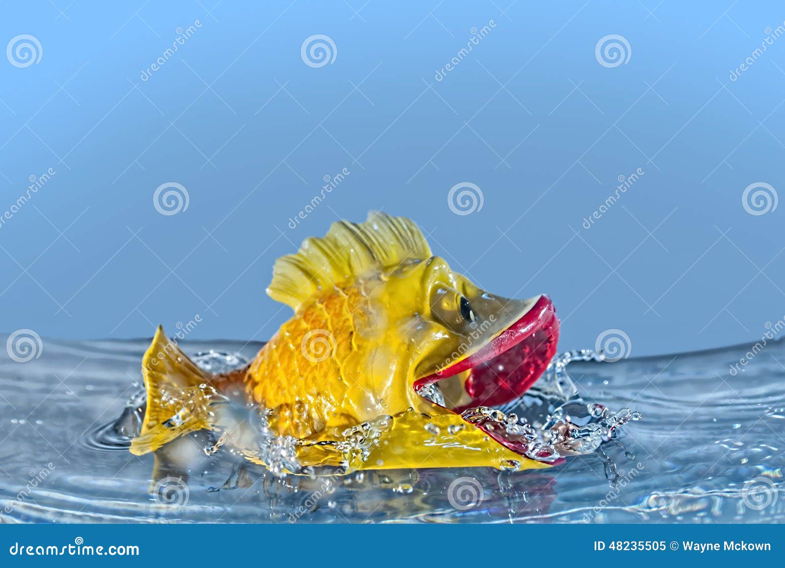 Aquarium Toy Fish Splashing,blue,water Stock Image - Image of closeup ...