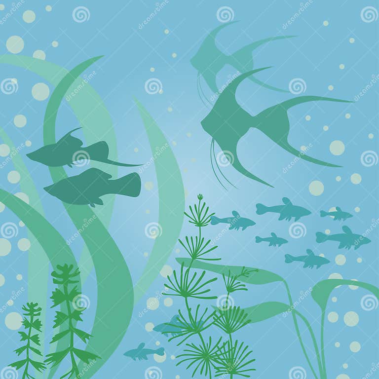 Aquariums Background with Fish Stock Vector - Illustration of algae ...