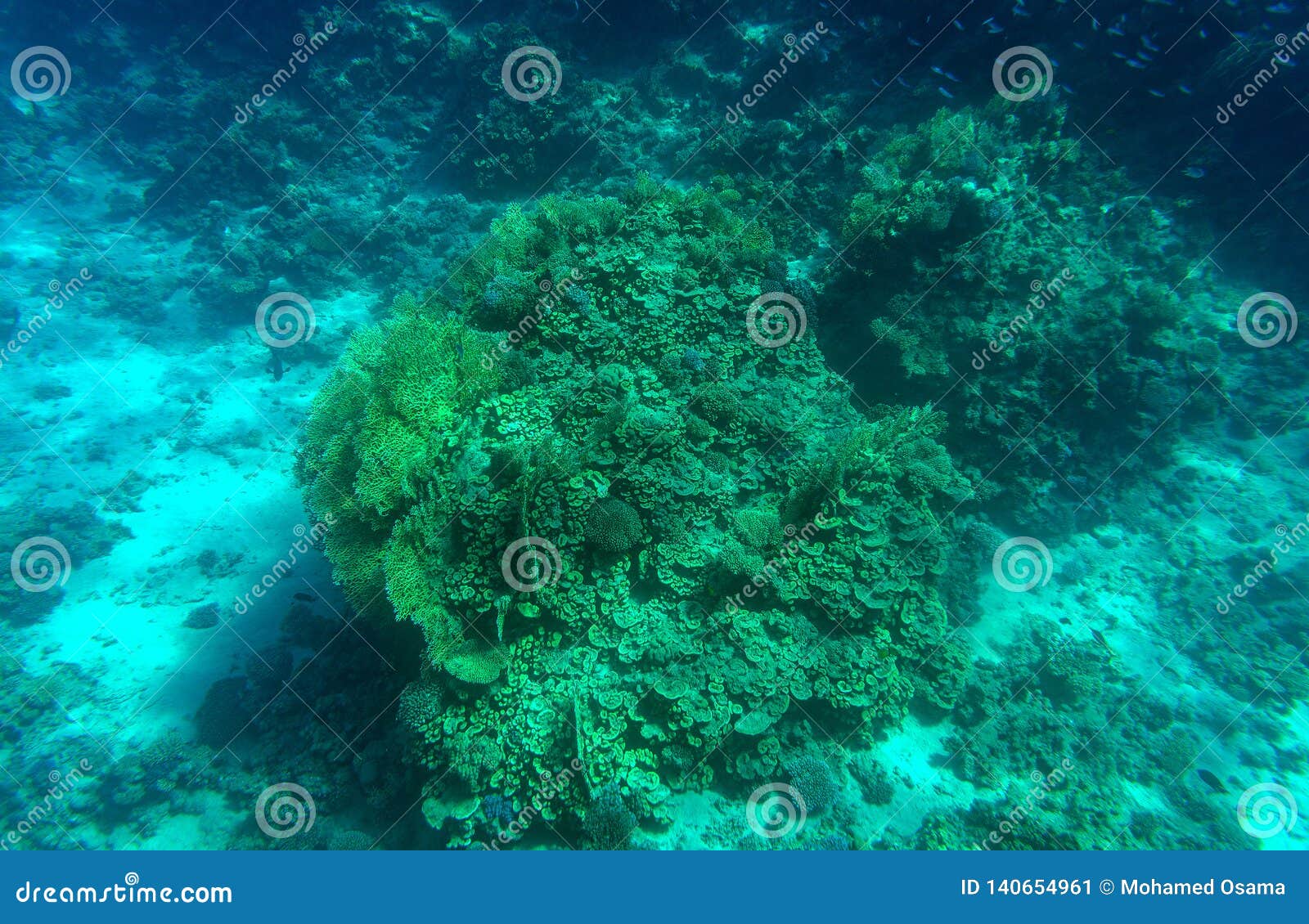 Aquatic Blue Deep Seabed Underwater Background Stock Image - Image of ...